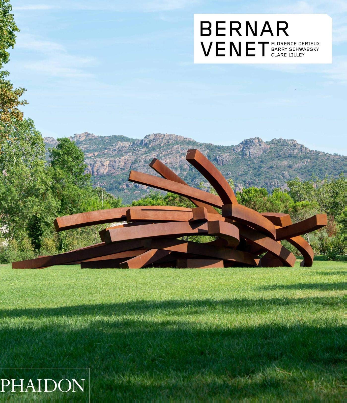 Bernar Venet (Phaidon Contemporary Artists Series): Lilley, Clare ...