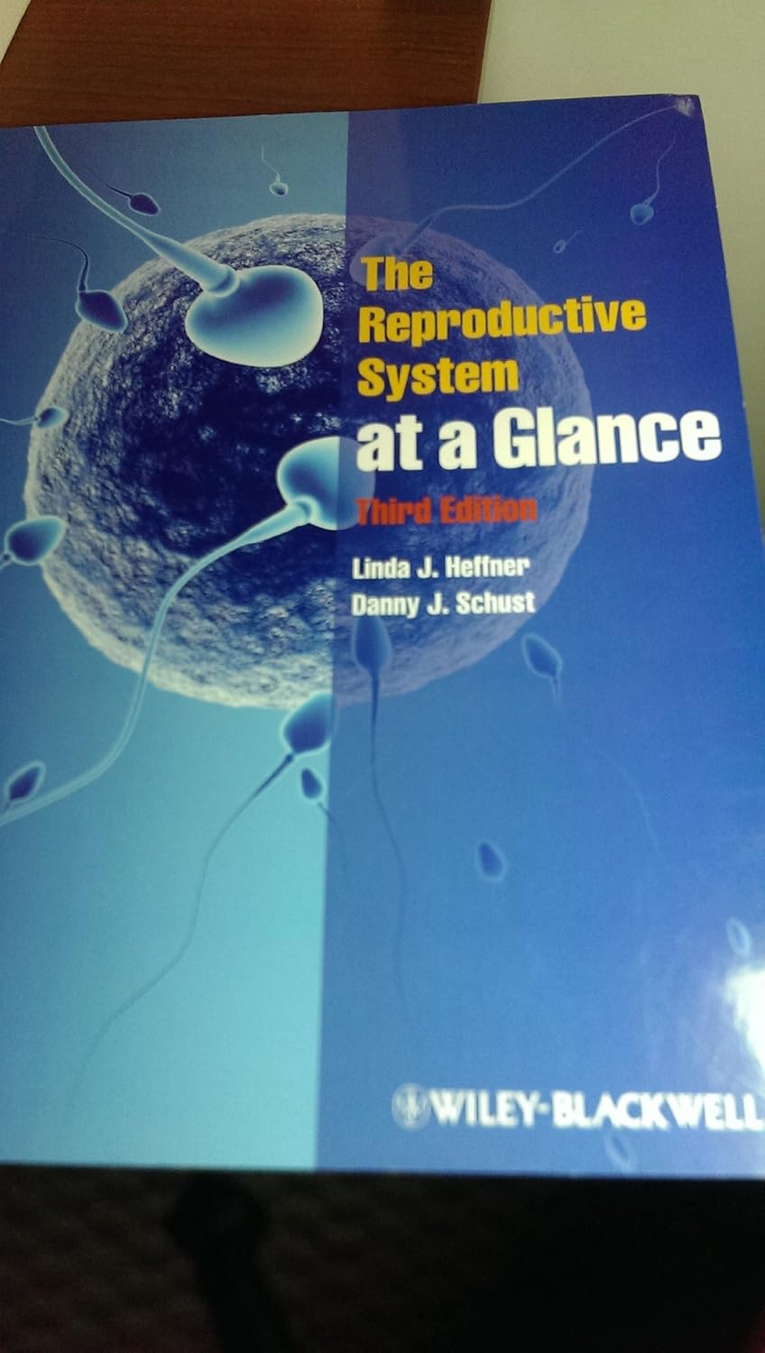 The Reproductive System at a Glance : Heffner, Linda J., Schust, Danny ...