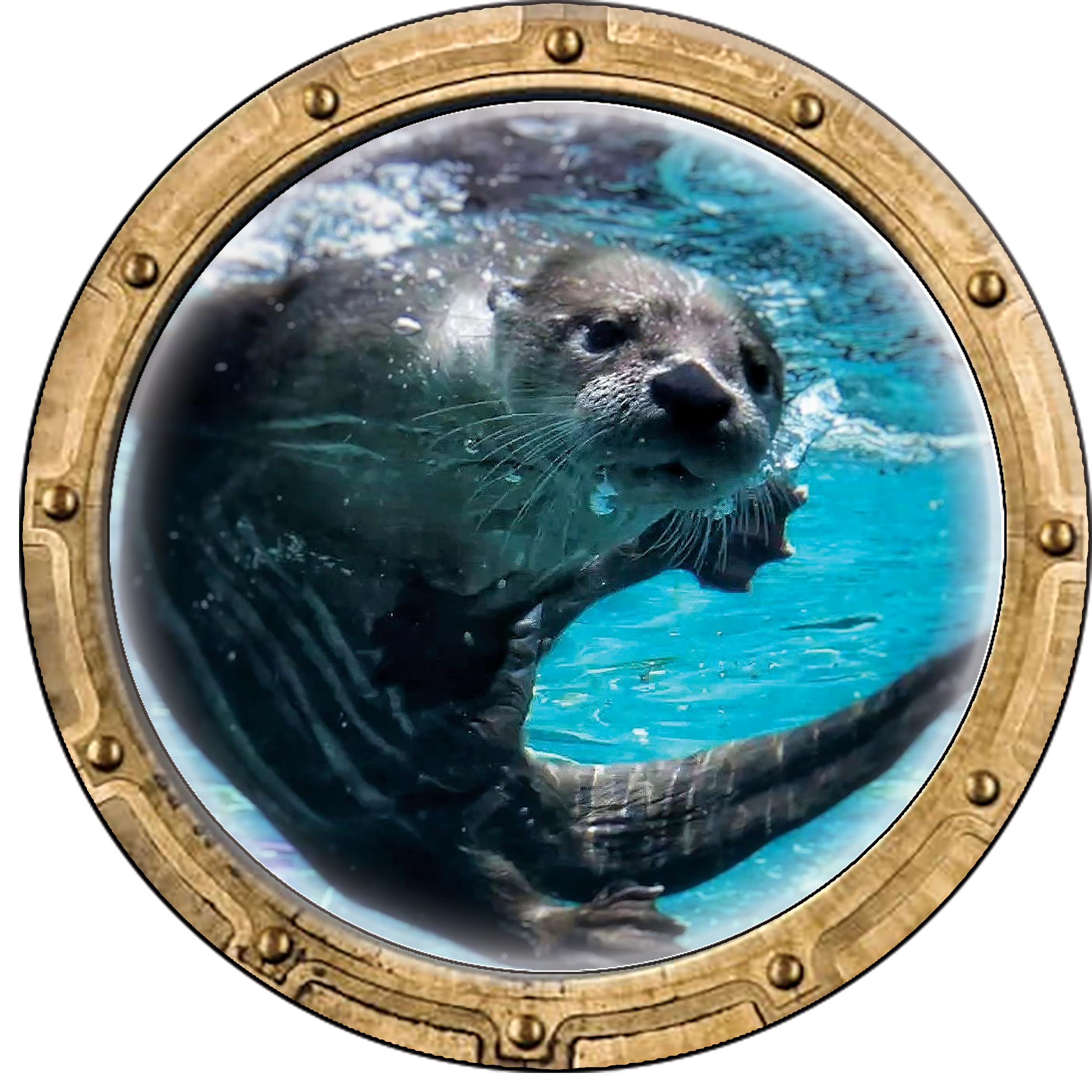 Amazon.com: Curb-N-Sign Sea Otter Wall Decal Porthole - Made in America ...