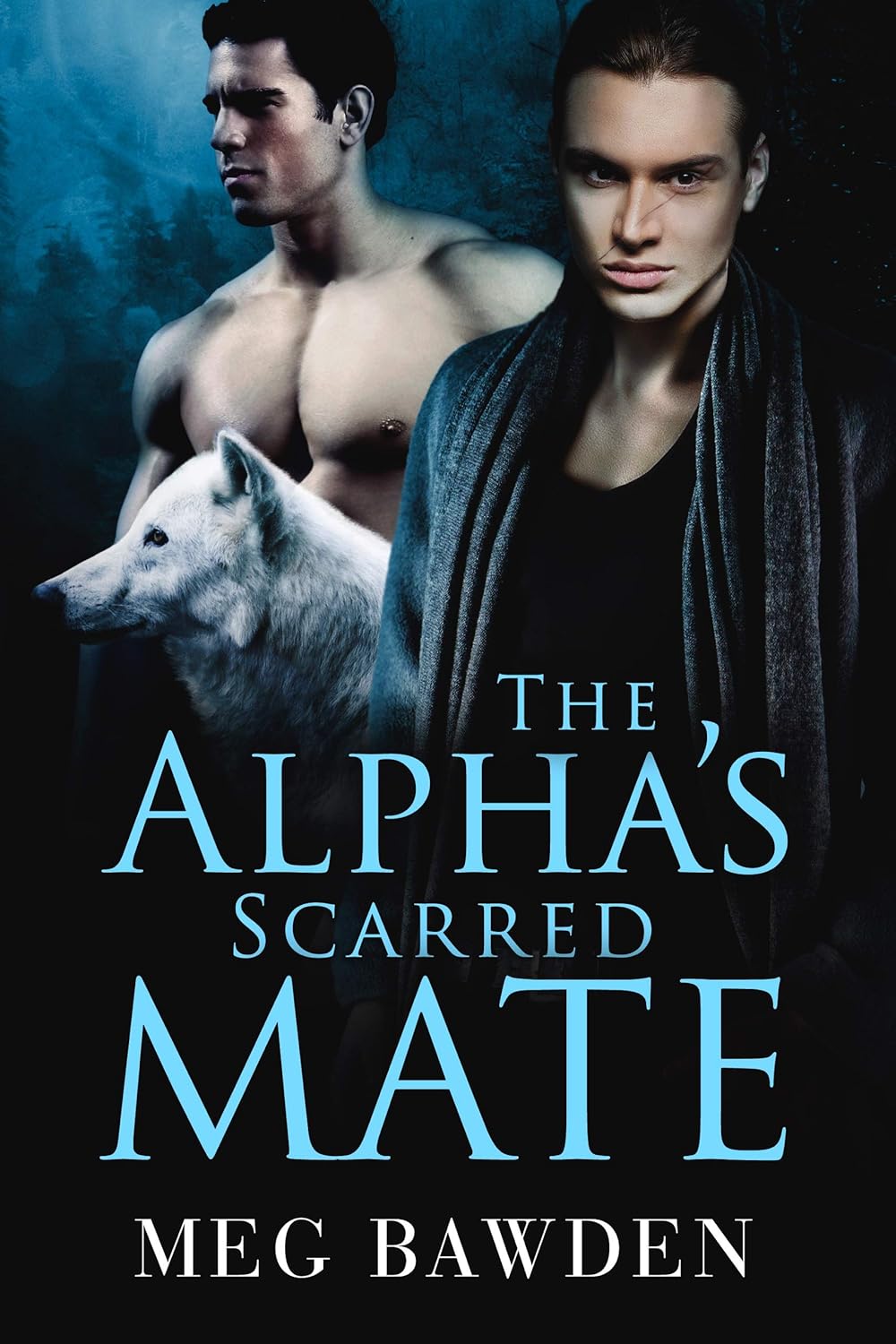 The Alpha's Scarred Mate (Dog Hills Pack Book 1) - Kindle edition by ...