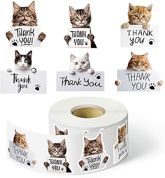 Amazon.com : BunneDany 600 Pcs Cute Cat Thank You Stickers, Roll of 6 ...