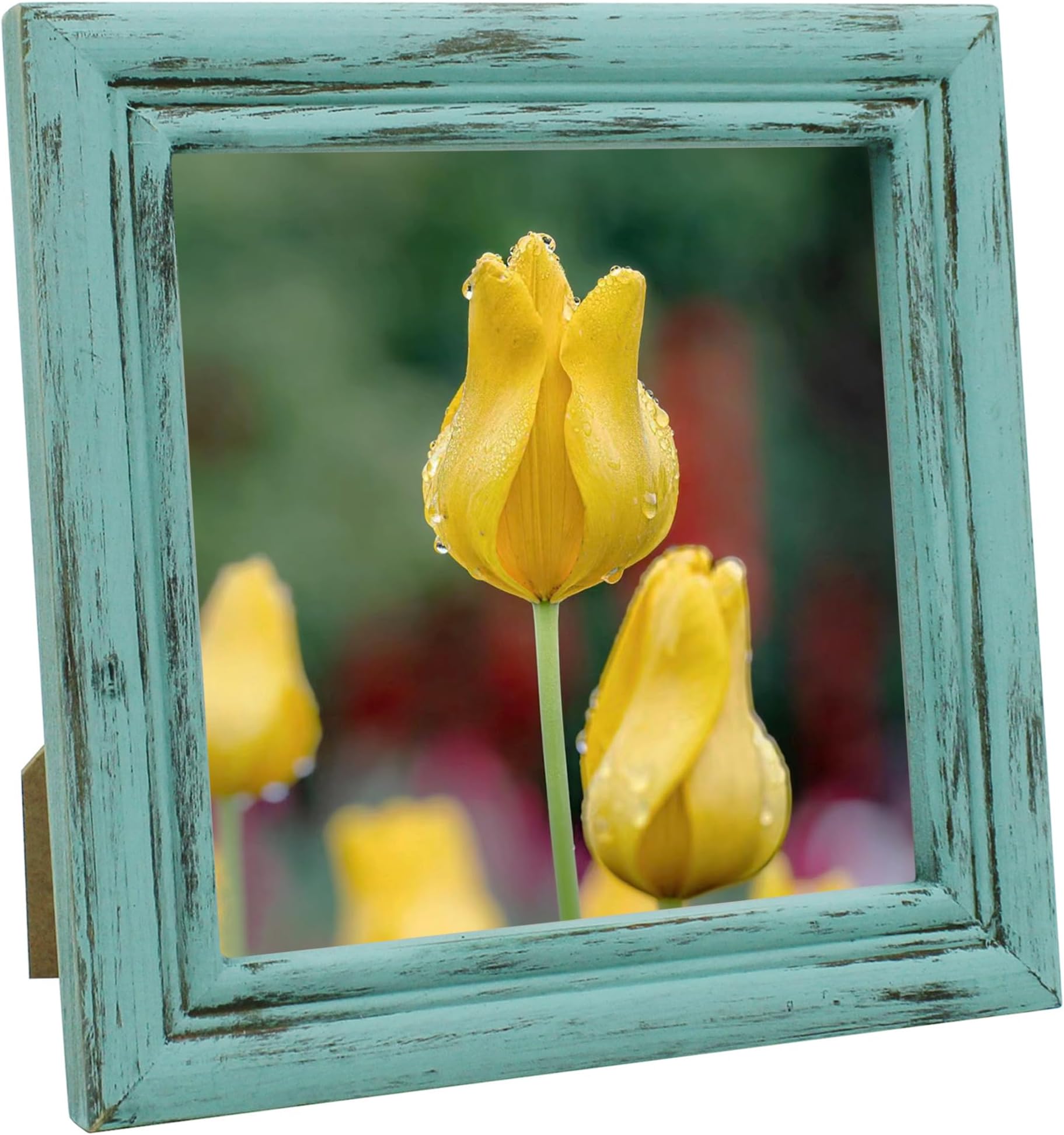 Amazon.com - CVHOMEDECO. 6x6 Picture Frame Made of Solid Wood High ...