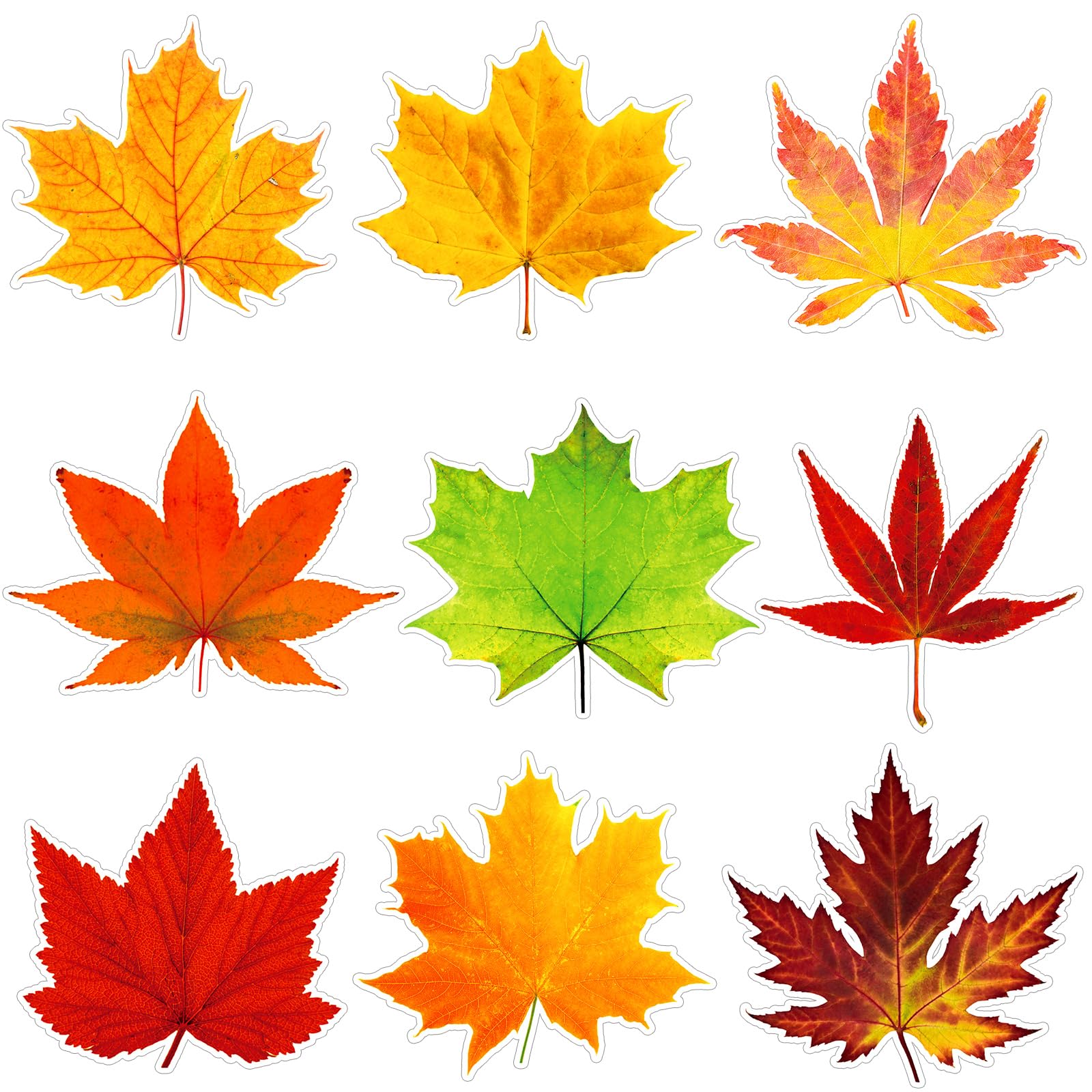 Snapklik.com : Ferraycle 198 Pcs Thanksgiving Fall Bulletin Board ...