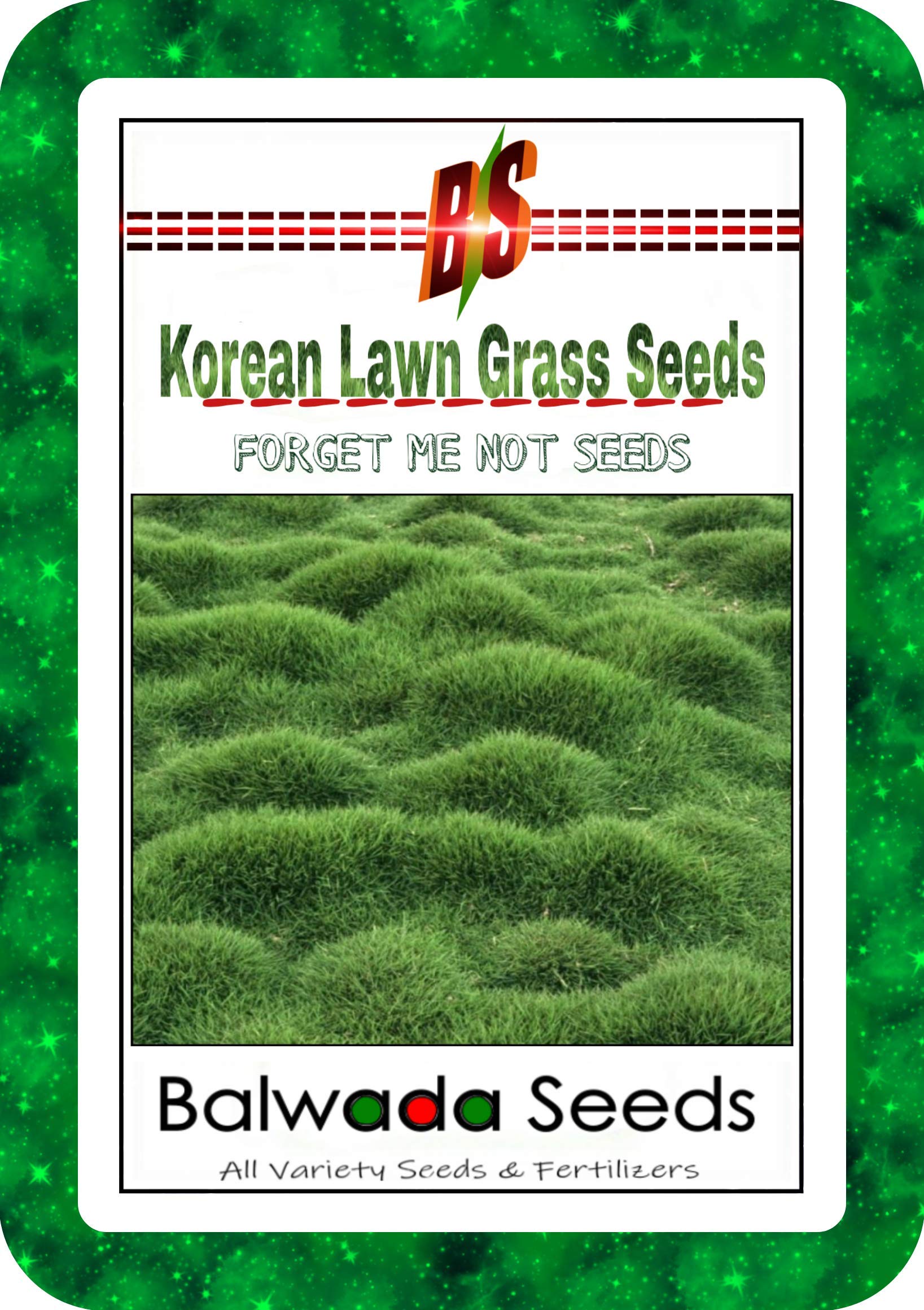 Lawn Grass Seeds Korean Soft Lawn Grass 4000 Seeds Packet | Desertcart ...
