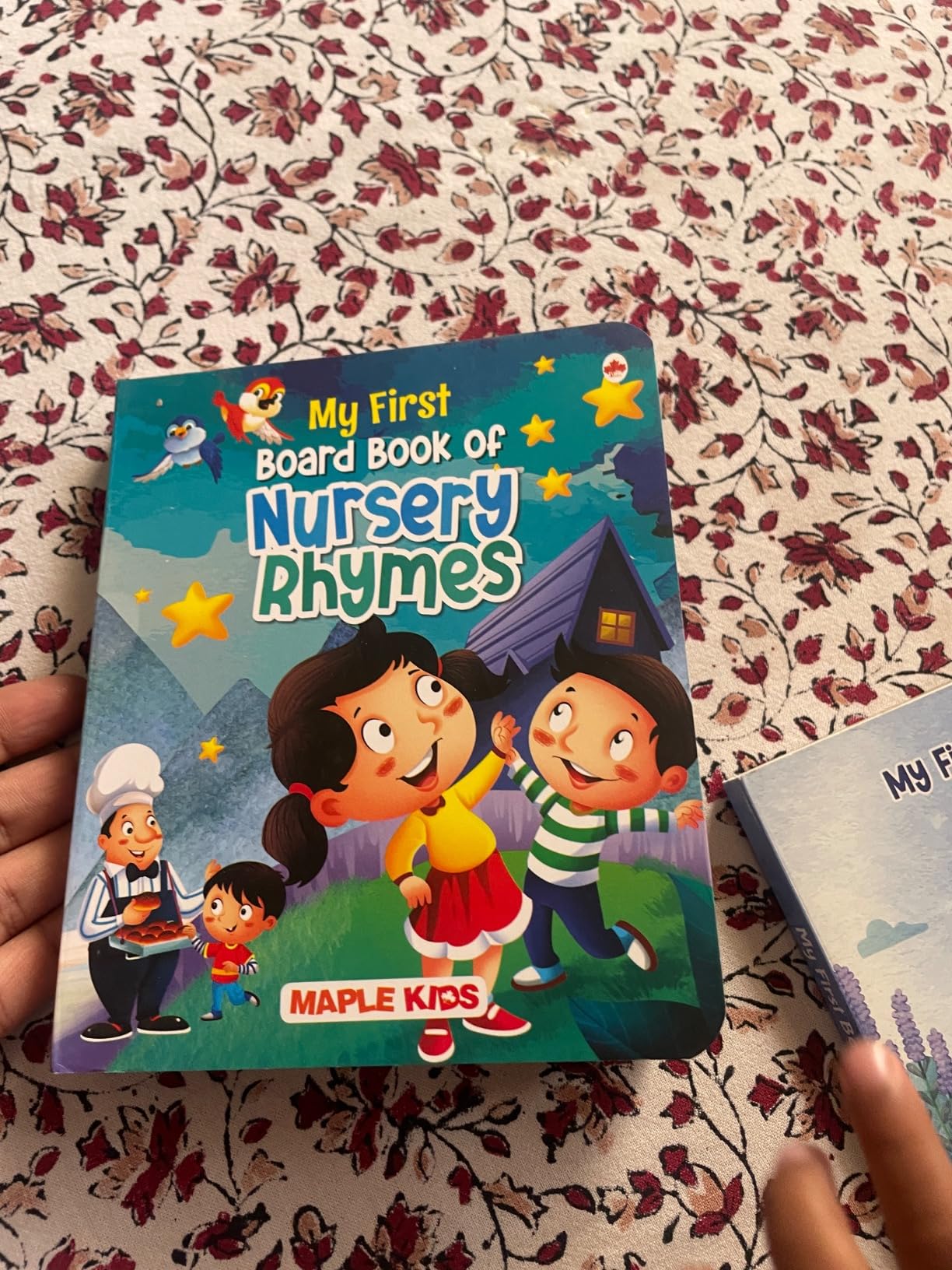 Nursery Rhymes for Kids - Board Book for Children - Illustrated Classic ...