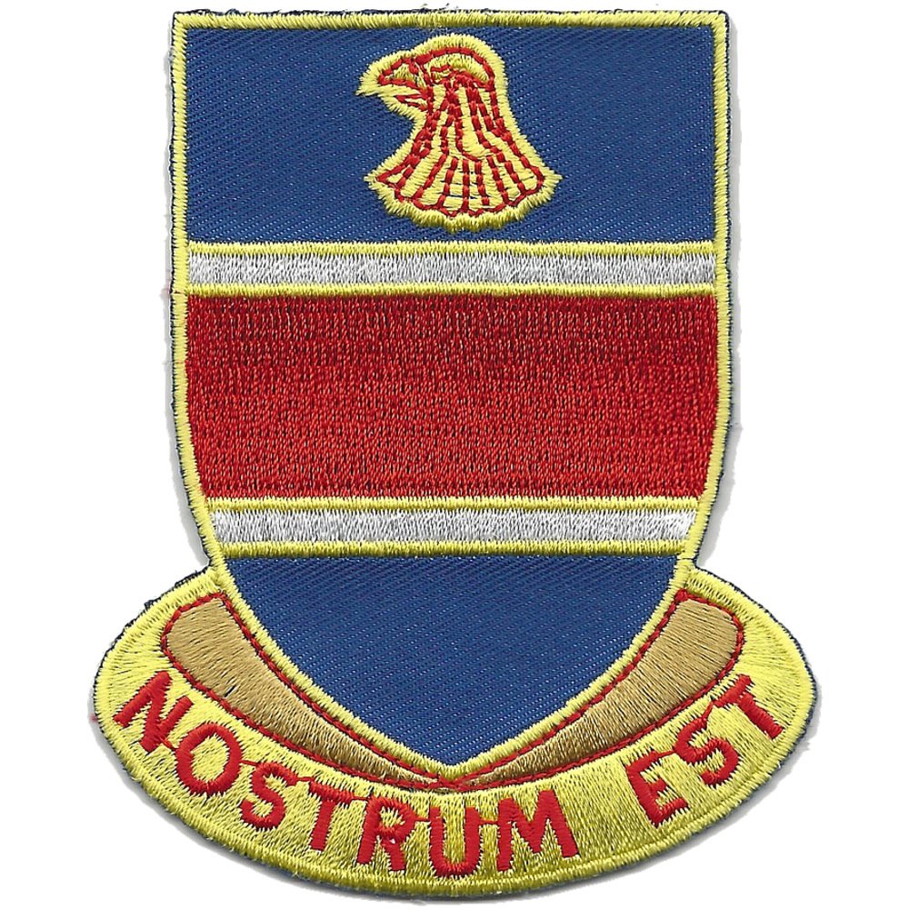 Amazon.com: 326th Airborne Engineer Battalion Patch : Clothing, Shoes ...