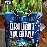Amazon.com : Scotts Grass Seed Drought Tolerant Mix, Kentucky Bluegrass ...