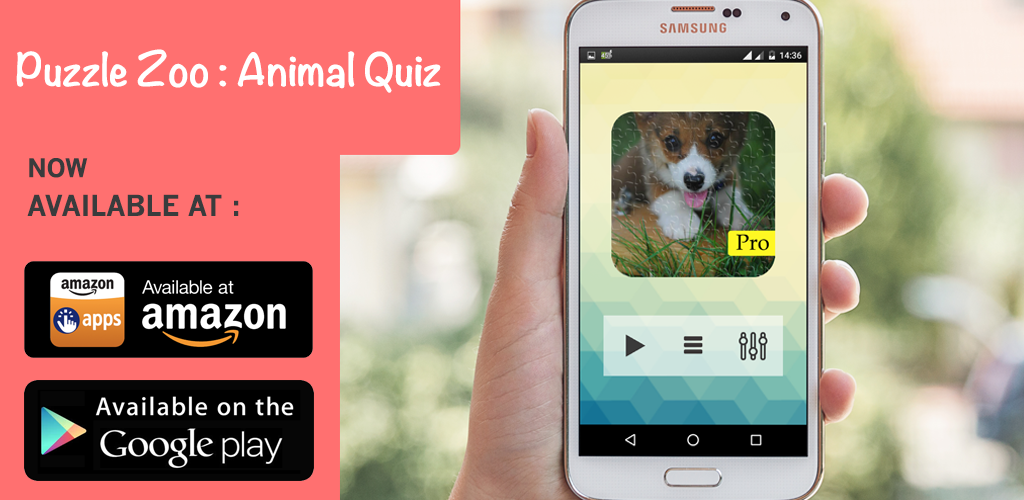 Puzzle Zoo : Animal Quiz:Amazon.com:Appstore for Android