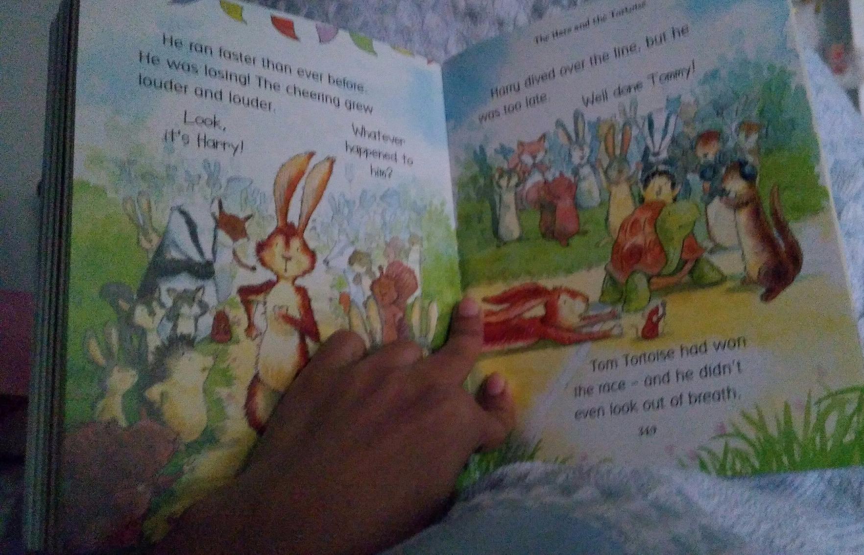 Usborne Illustrated Animal Stories [Paperback] Lesley Sims; Conrad ...