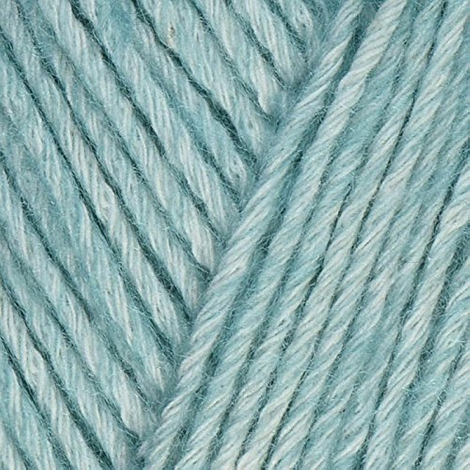 Amazon.com: Scheepjes Yarn Stone Washed (813 - Amazonite)
