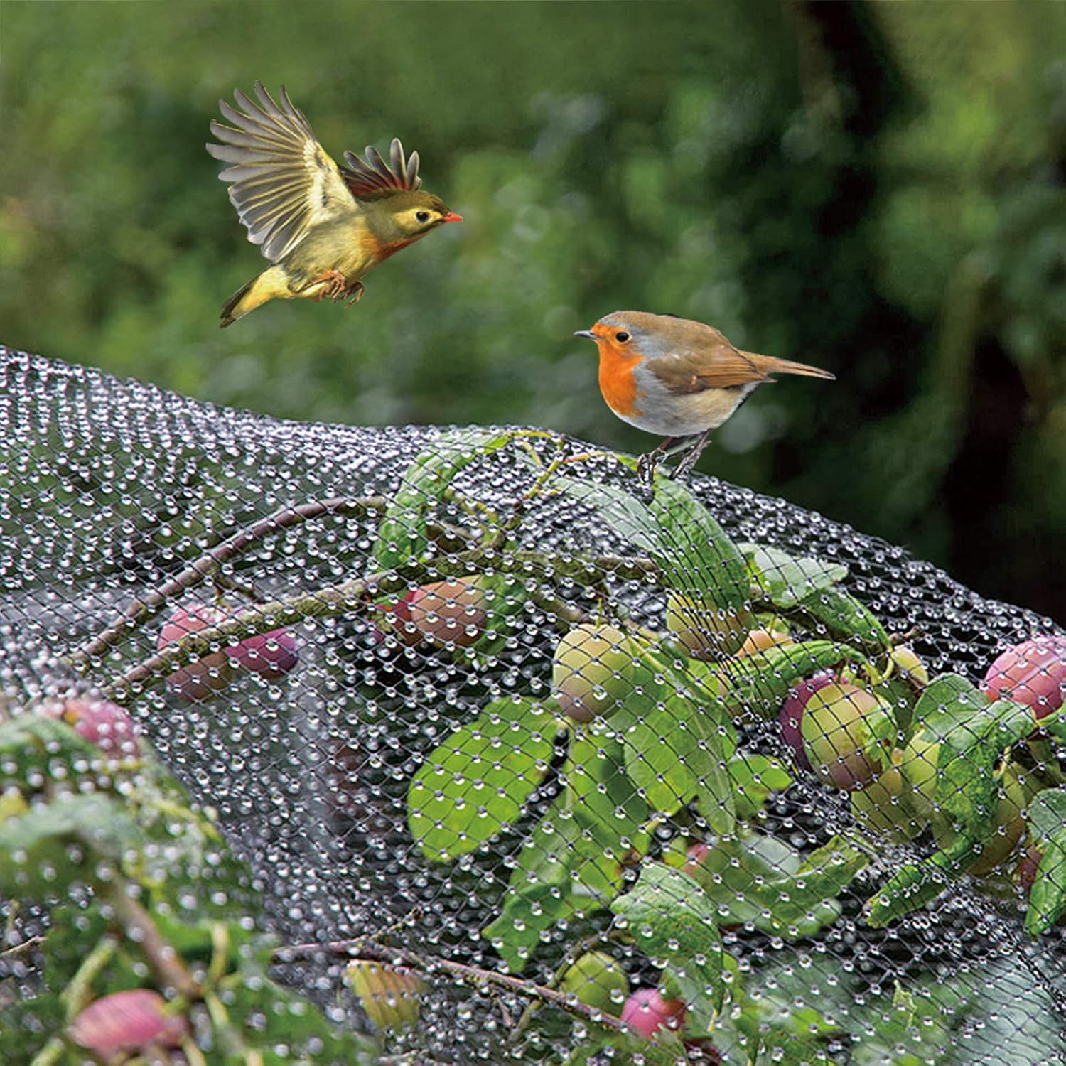 Amazon.com : VIVOSUN Garden Netting, 7.5' x 65' Reusable Protection Net ...