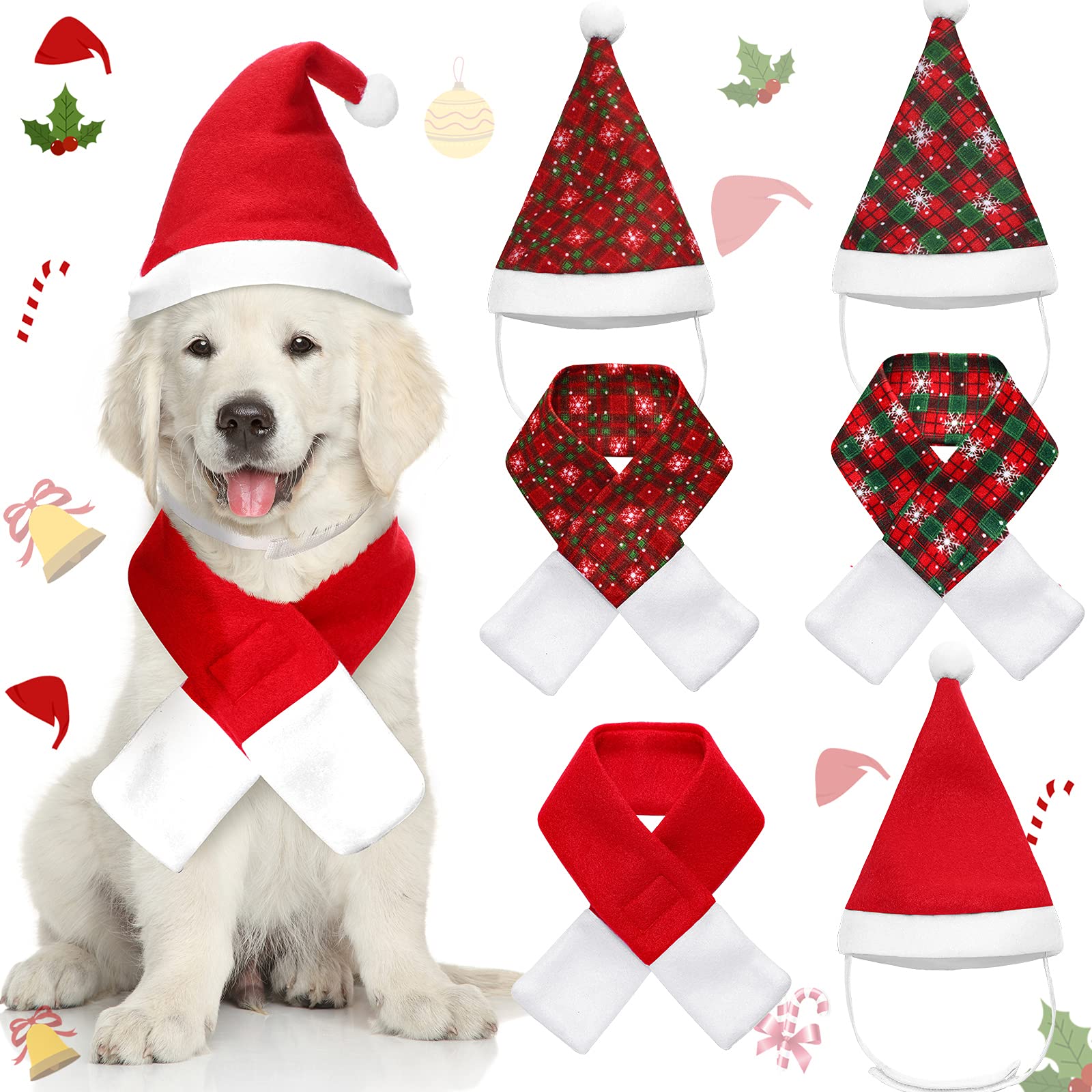 Can Santa Give You A Dog For Christmas