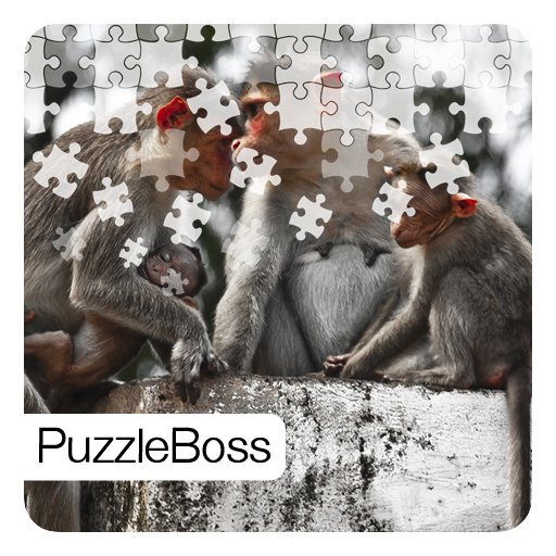 Monkey Jigsaw Puzzles - App on Amazon Appstore