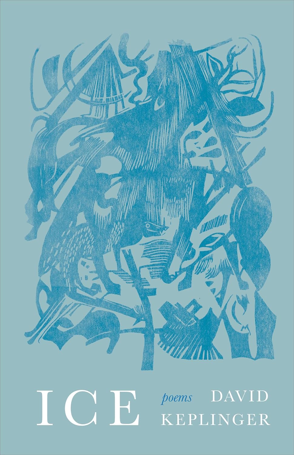 Amazon.com: Ice: Poems eBook : Keplinger, David: Books