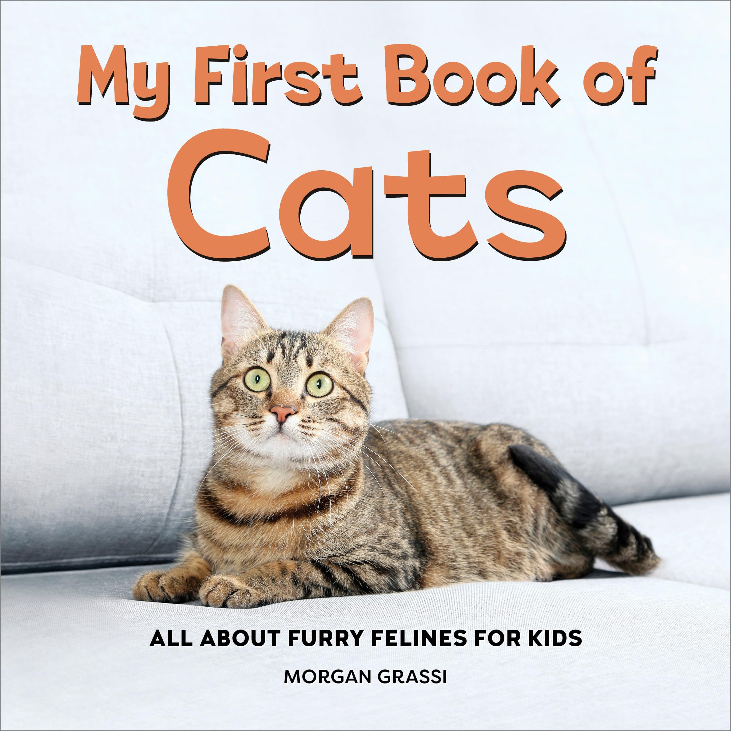 My First Book of Cats: All About Furry Felines for Kids: Grassi, Morgan ...