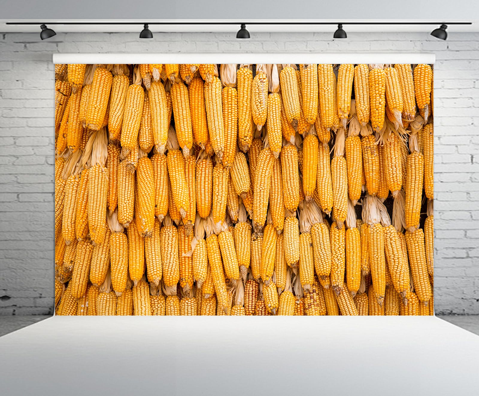 Amazon.com : CHNYWORK 9ftx6ft Corn Harvest Backdrop for Photography ...