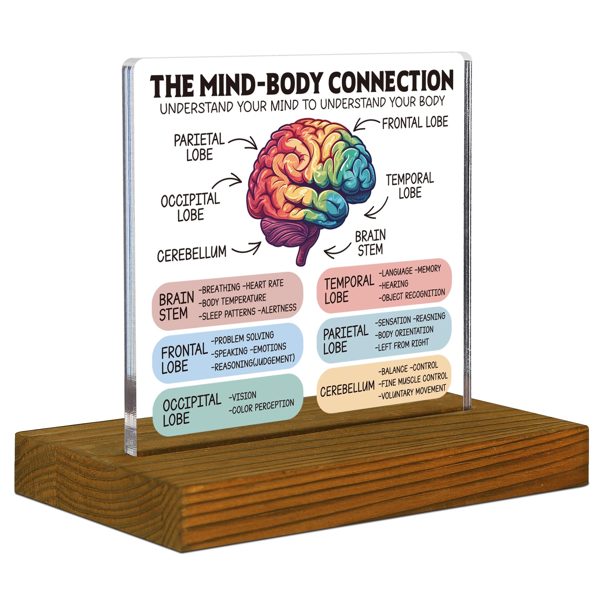 Amazon.com: Mind Body Connection Sign, Brain Anatomy Sign, Therapy ...