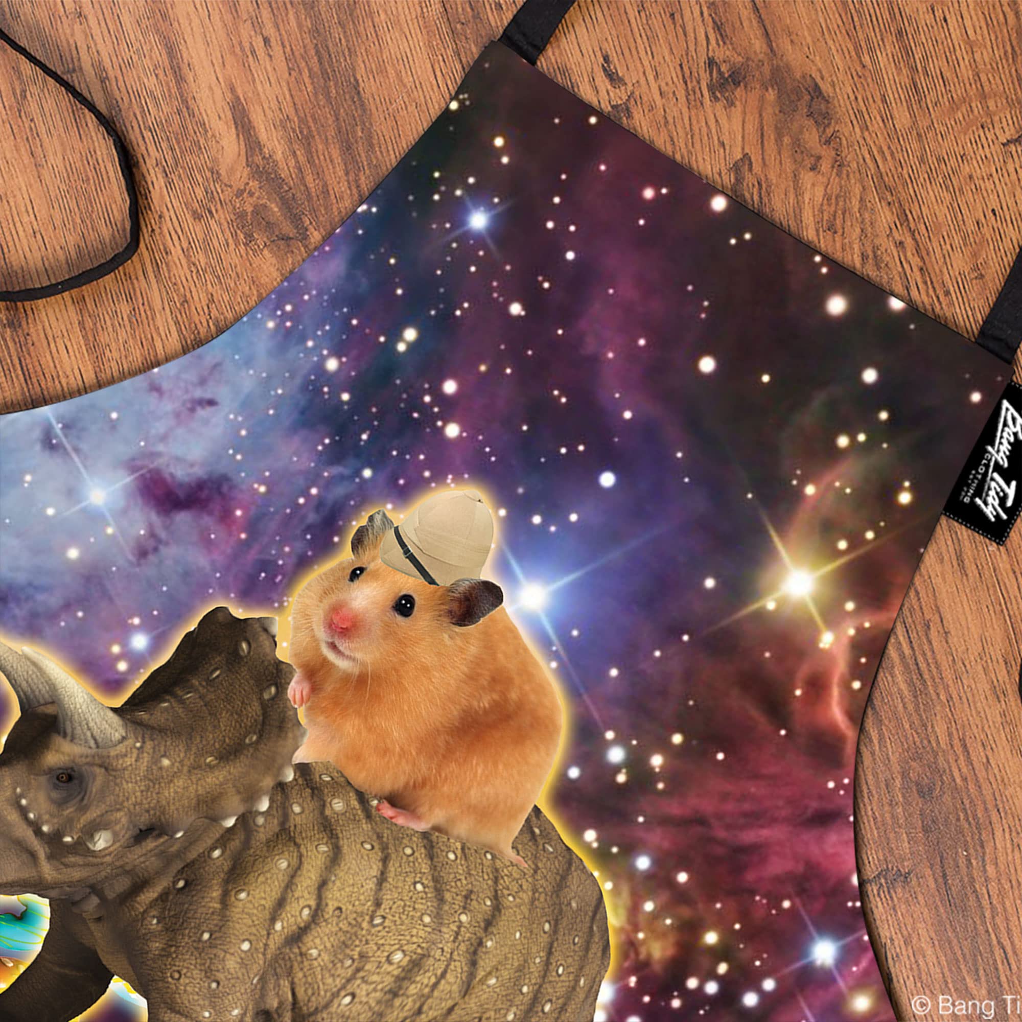 Hamster Space Memes Hampter #Meme #MemeCut #CapCut #fyp #foryoupage
