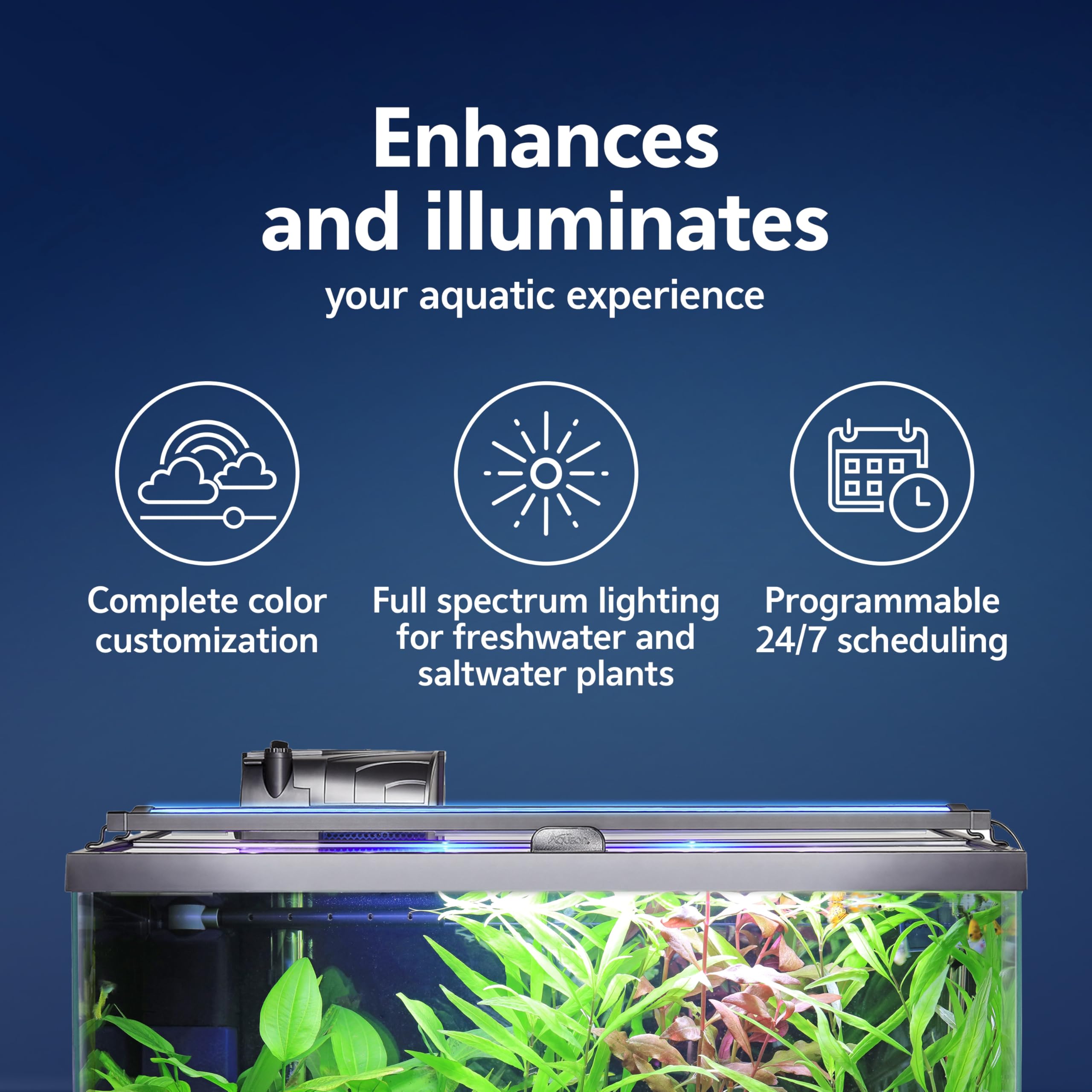 Aquariums Light Fixture Included Blue Pet T4 Series Glass Aquarium