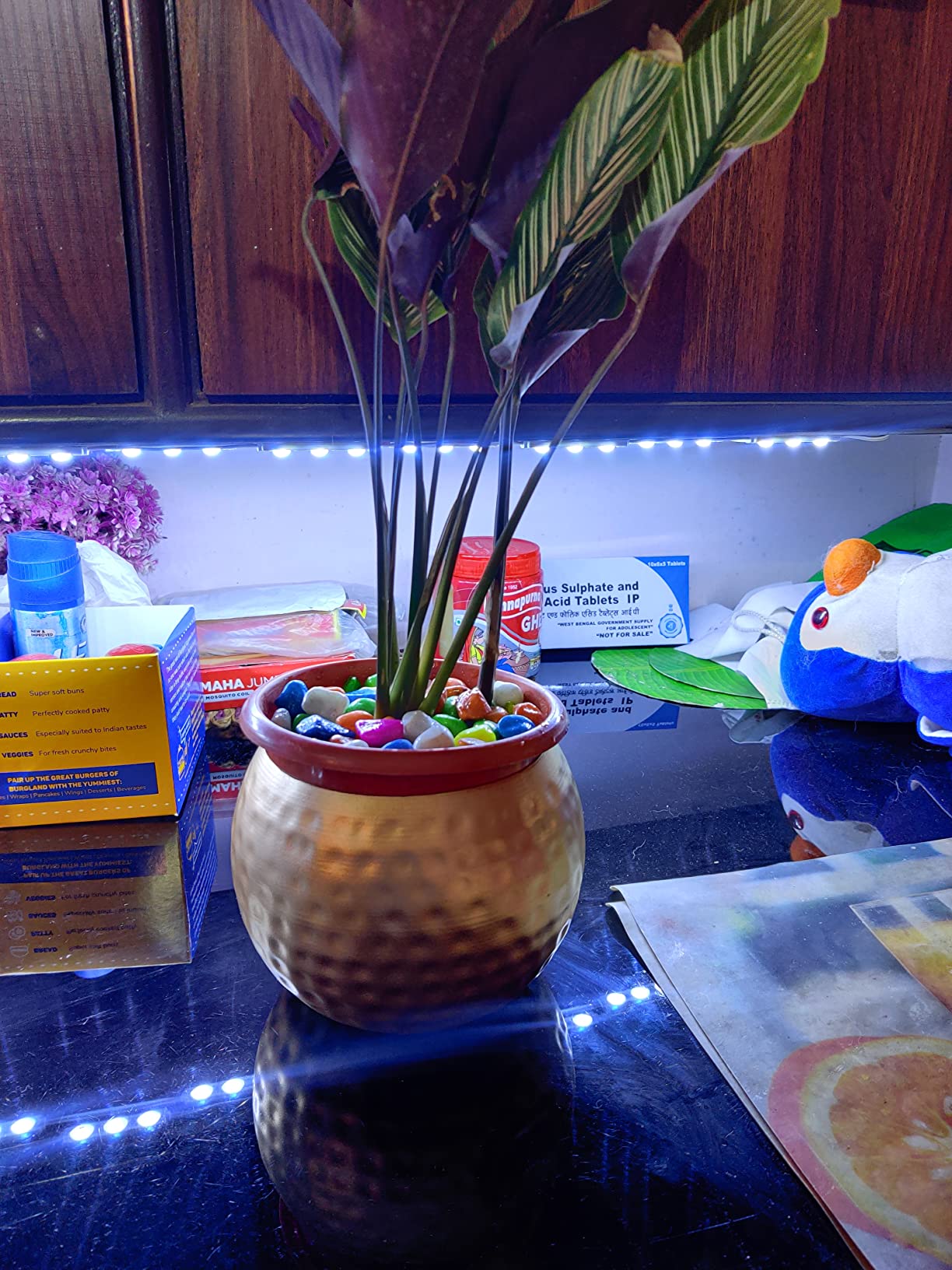 Bombay Greens Metal Pots and Planters for Living Room| Eco Friendly ...