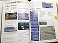 Fallout 76: Official Guide: Hodgson, David, Rocha, Garitt ...