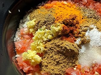 The Indian Slow Cooker: 50 Healthy, Easy, Authentic Recipes: Singla, Anupy: 9781572841116 ...