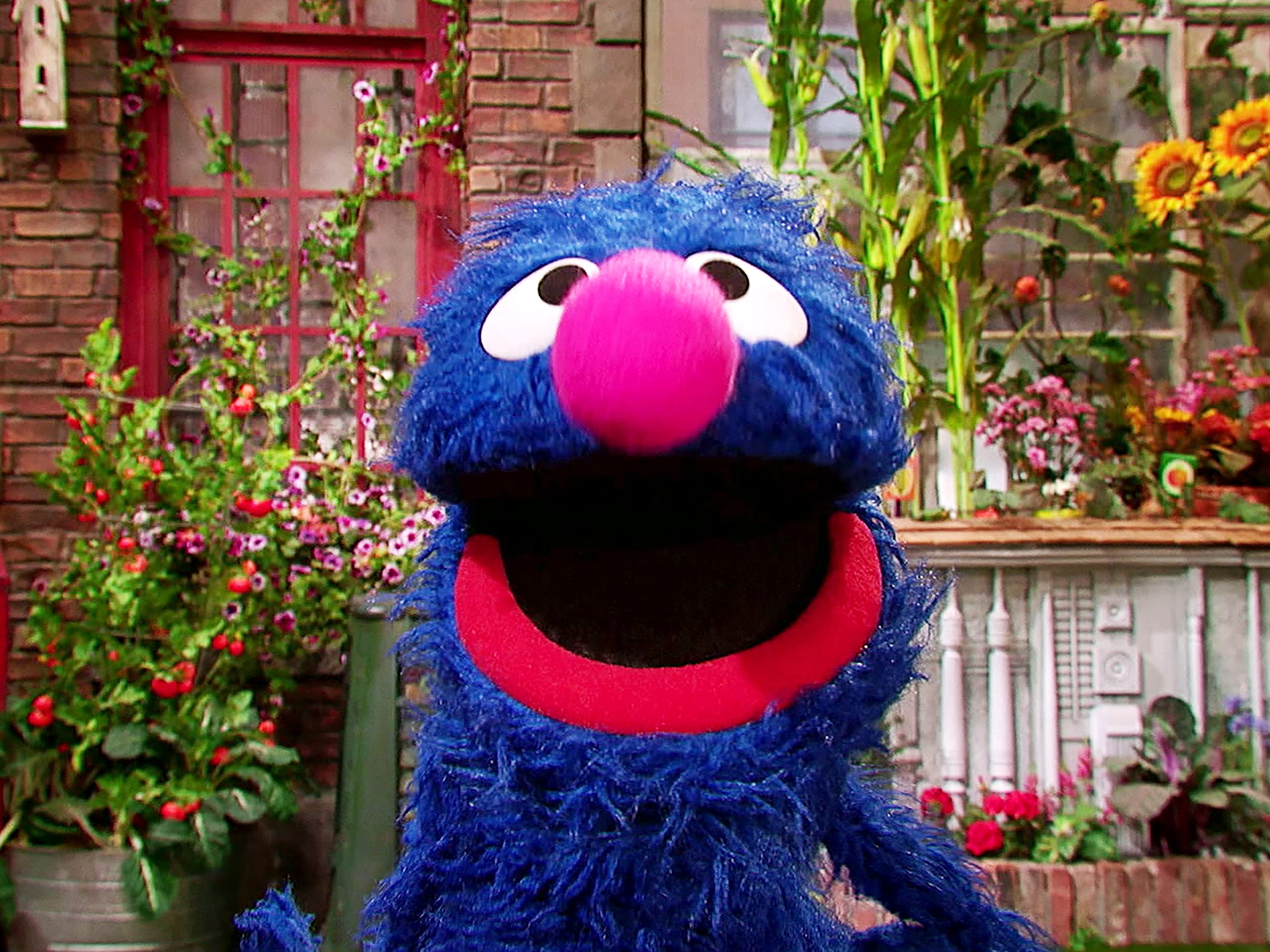 Watch Sesame Street - Season 48 | Prime Video