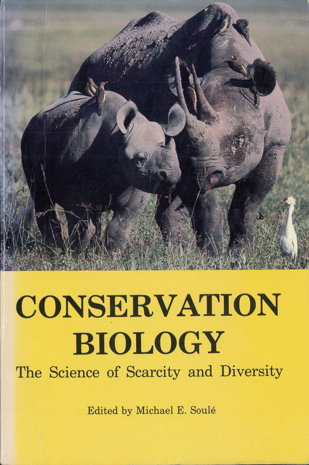 Conservation Biology: The Science of Scarcity and Diversity: Soule ...