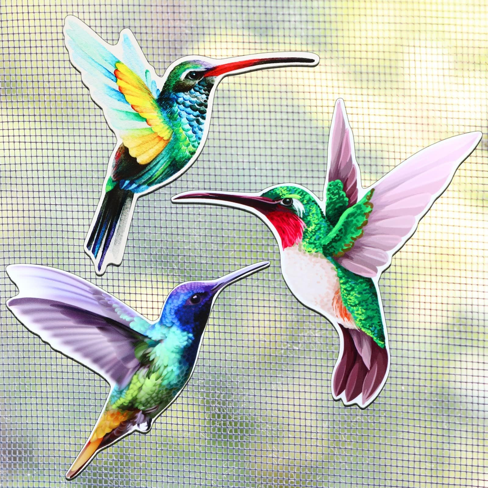 Amazon.com: Hummingbird Colorful Refrigerator Magnet | UV Printed 4 ...