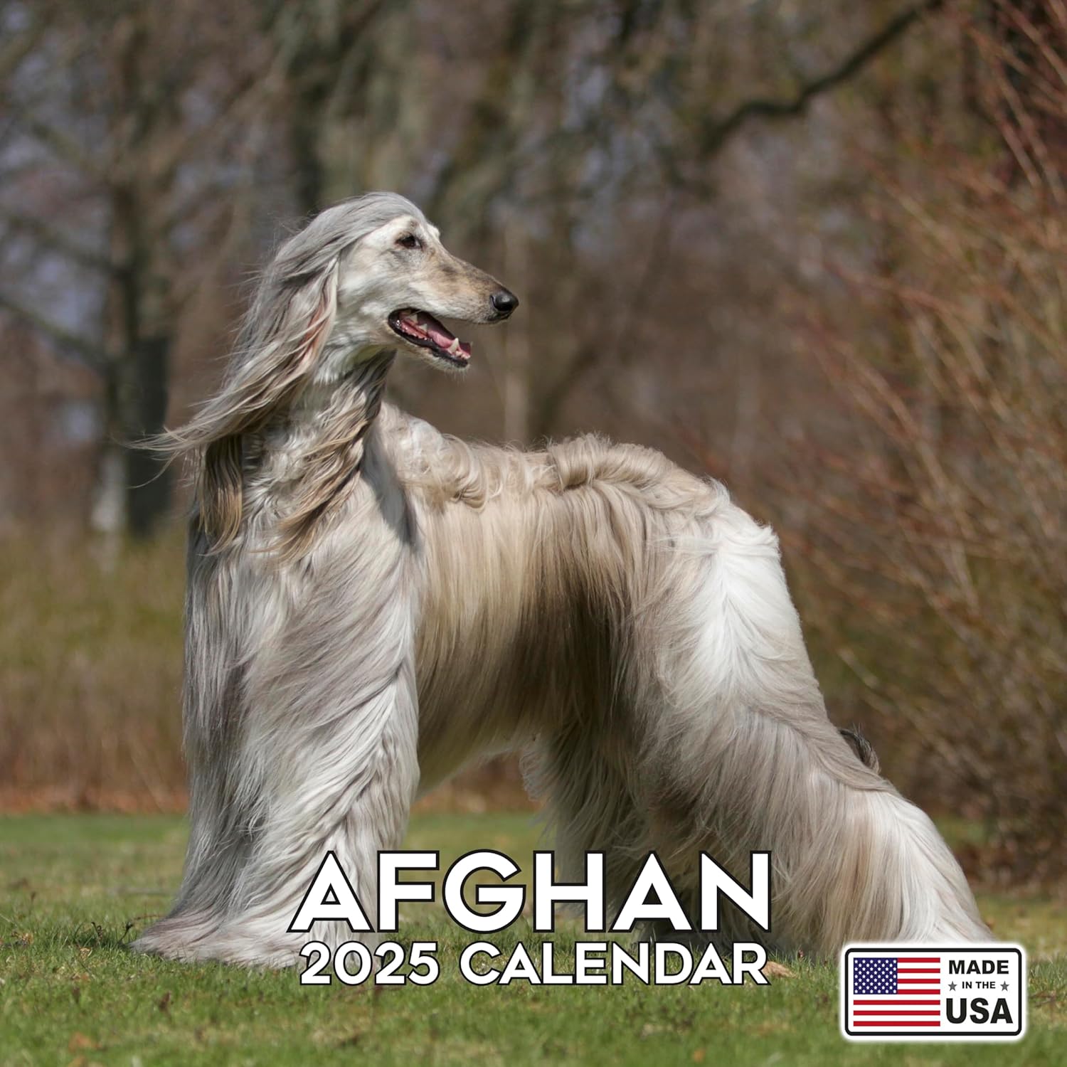 MegaCalendars - Afghan Calendar 2024 - Dog Breed Wall Calendar ...