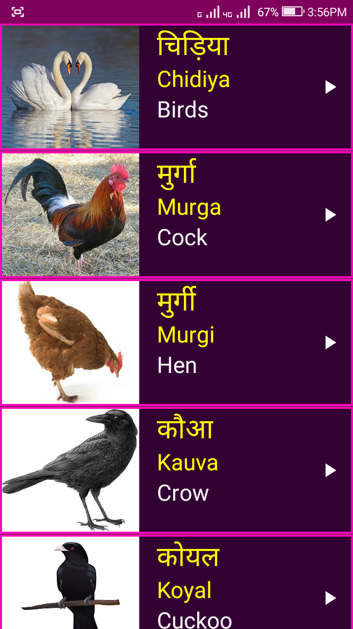 Learn Hindi From English - App on Amazon Appstore