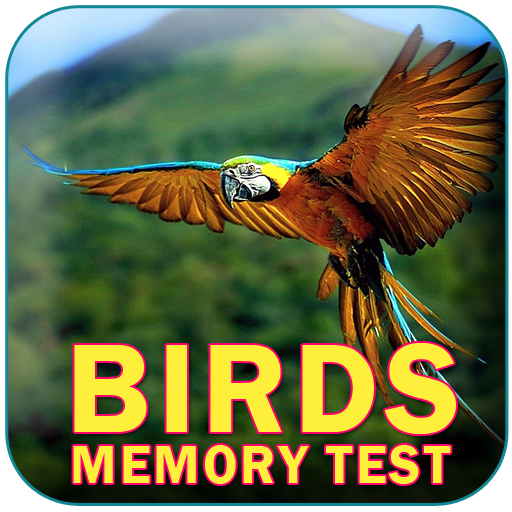 Bird Memory Game - App on Amazon Appstore