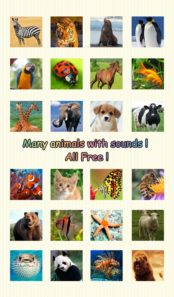 Animal Cards:Amazon.com:Appstore for Android