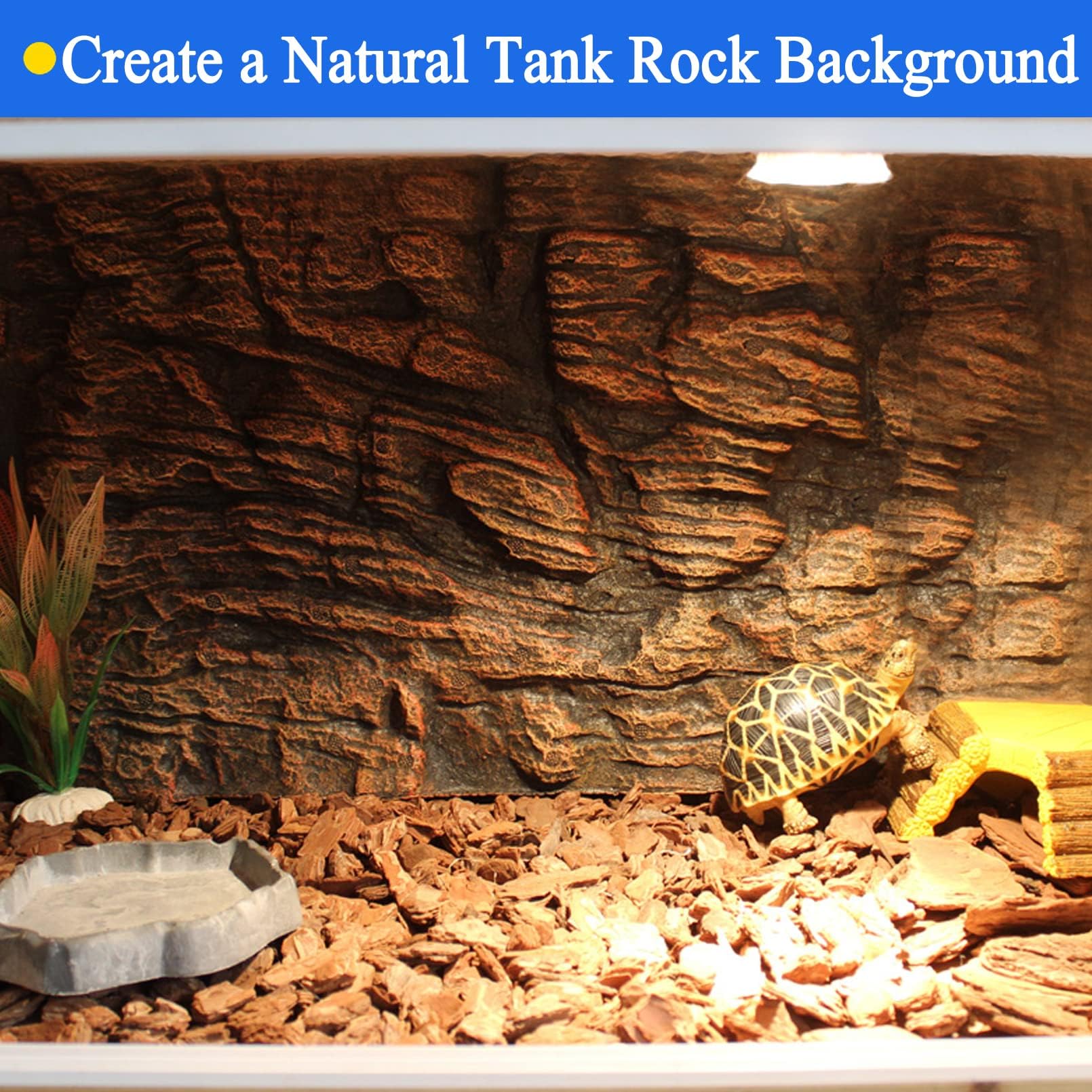 Backgrounds For Vivariums