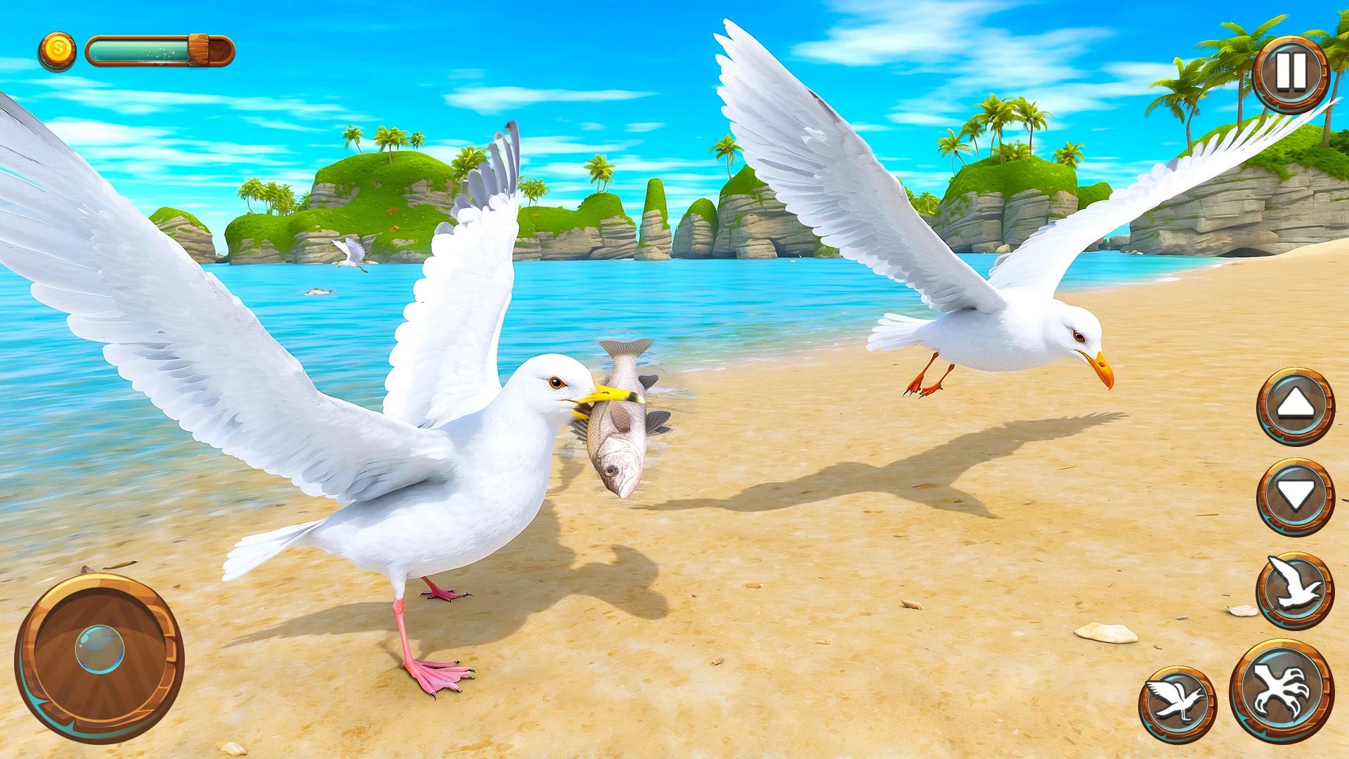 Seagull Bird Family Life Simulator - App on Amazon Appstore