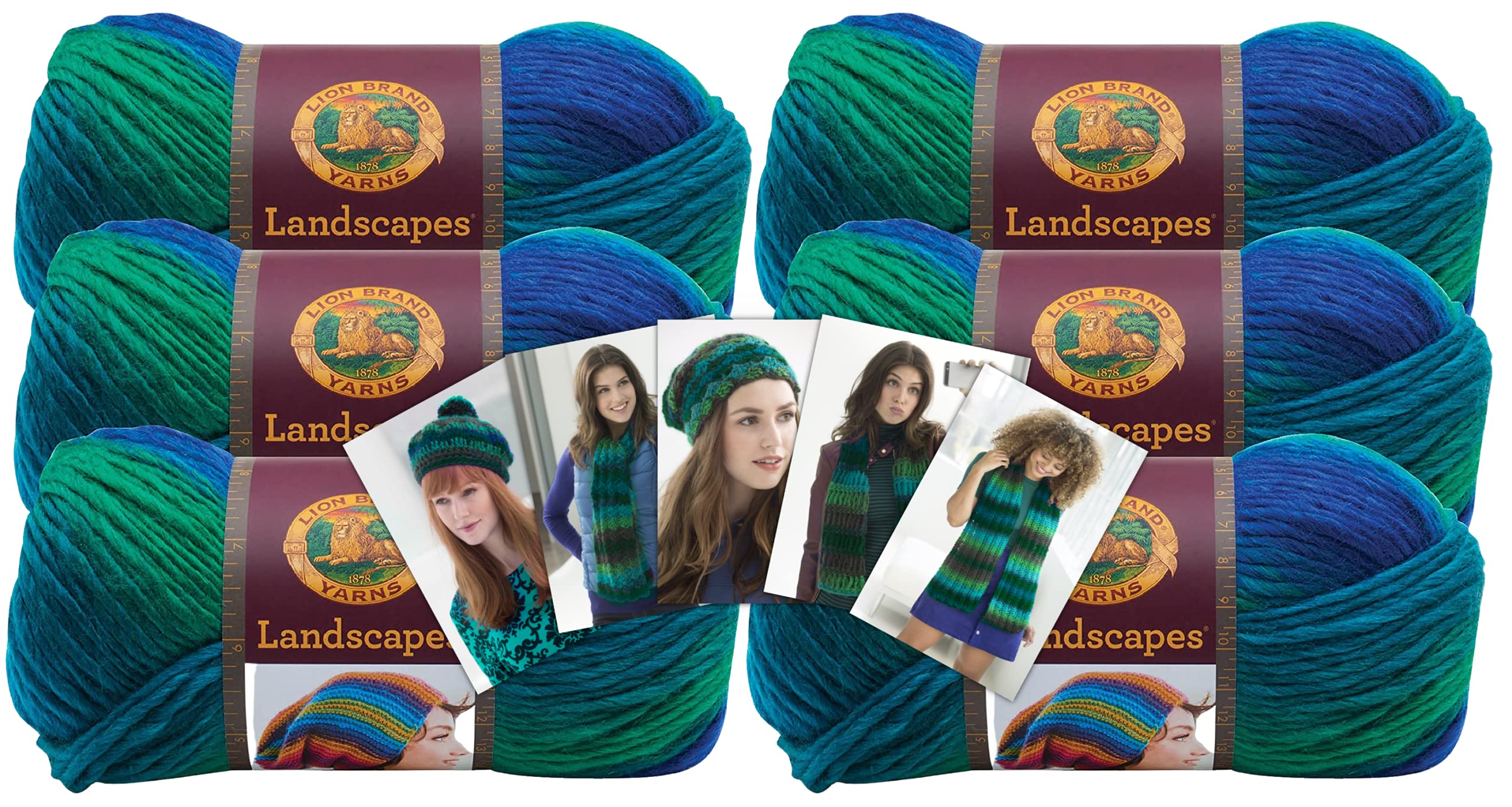 Lion Brand Landscapes Yarn 6 Pack With Pattern Cards In | Desertcart INDIA