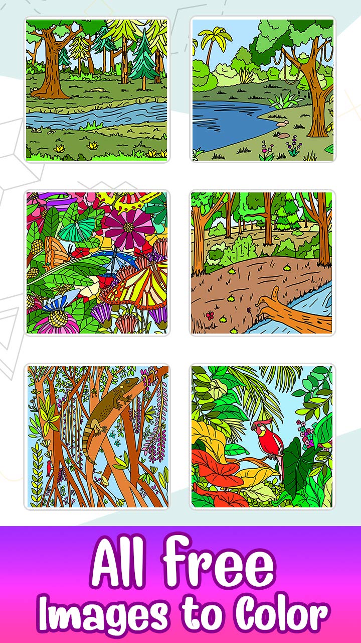 Forest Color By Number - Secret Garden, Nature Paint Book:Amazon.in ...