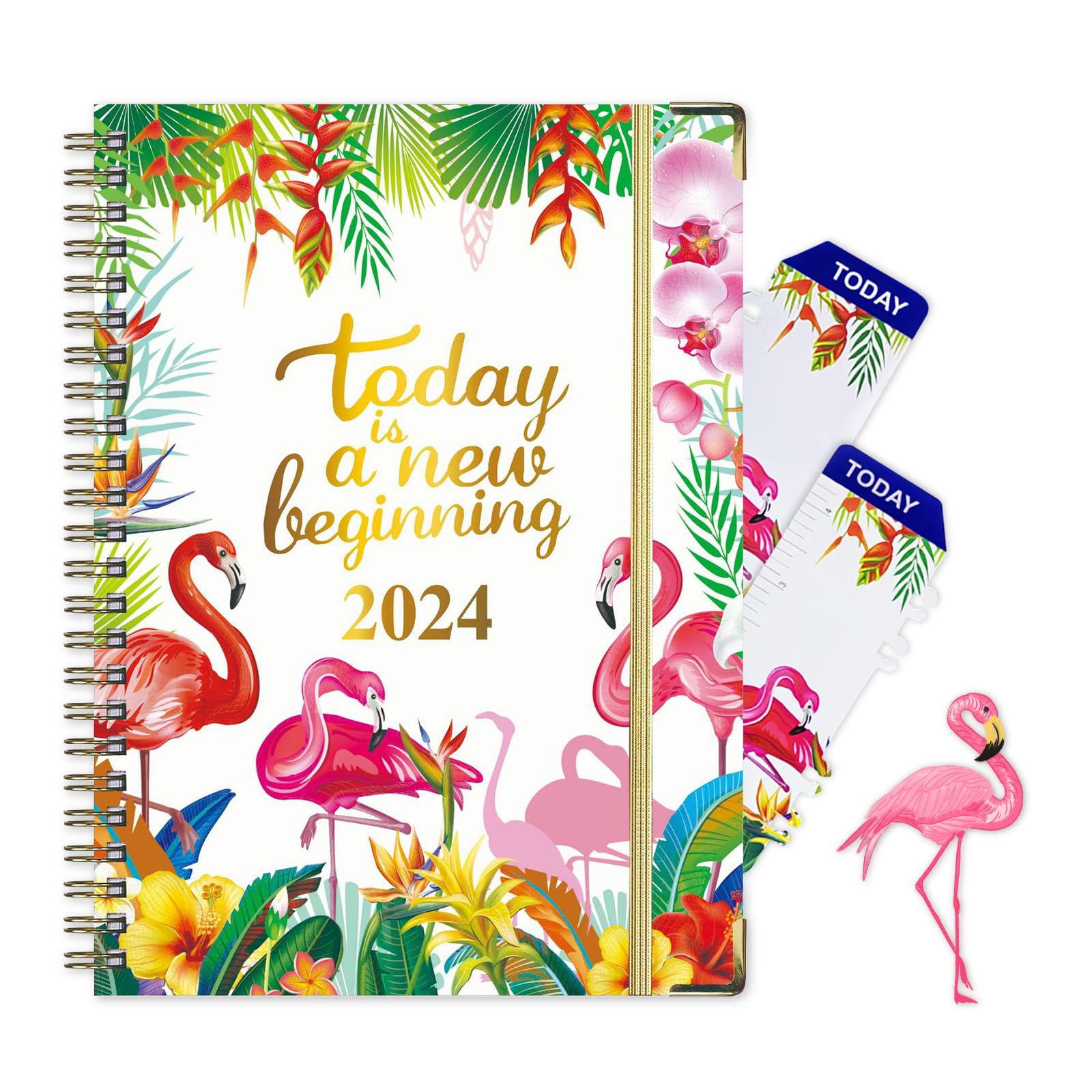 Snapklik.com : 2024 Planner - Planner/Calendar 2024, Jan 2024 - Dec ...