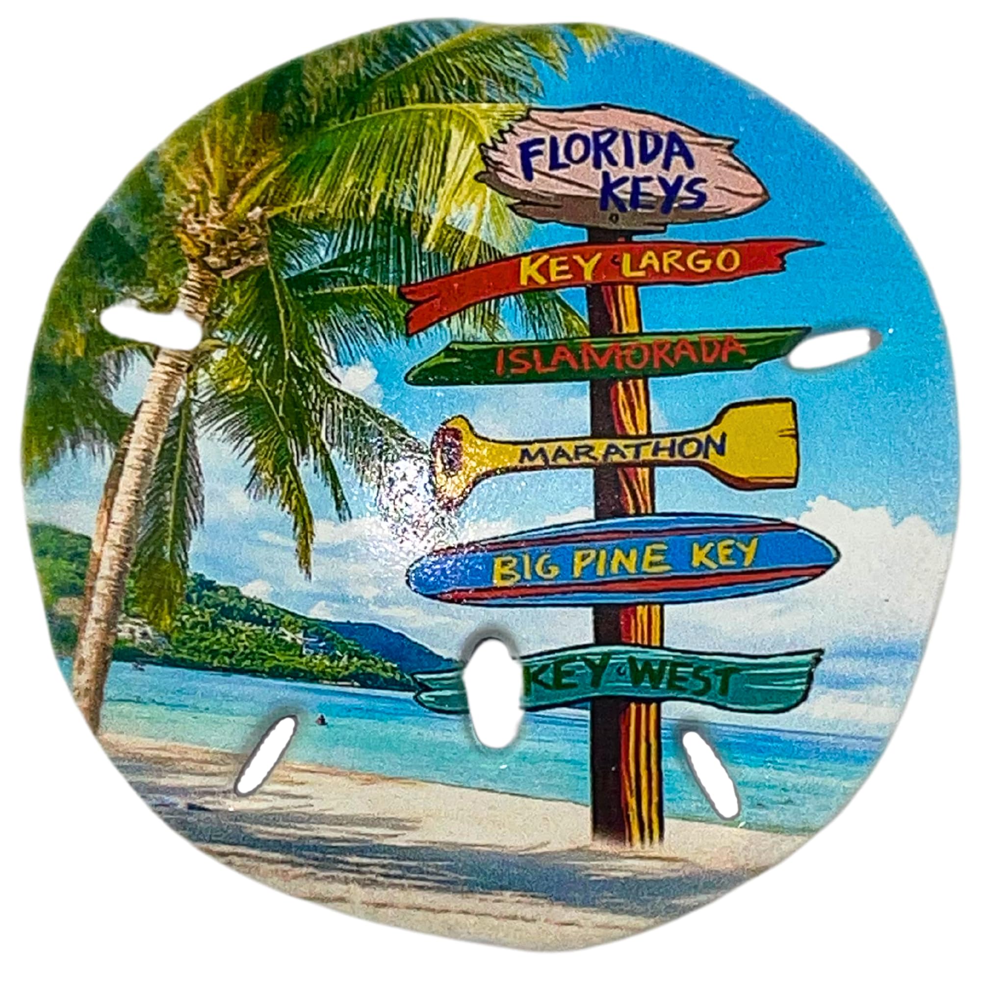 Amazon.com: Florida Keys Sand Dollar Shaped Magnet, Nautical Souvenir ...