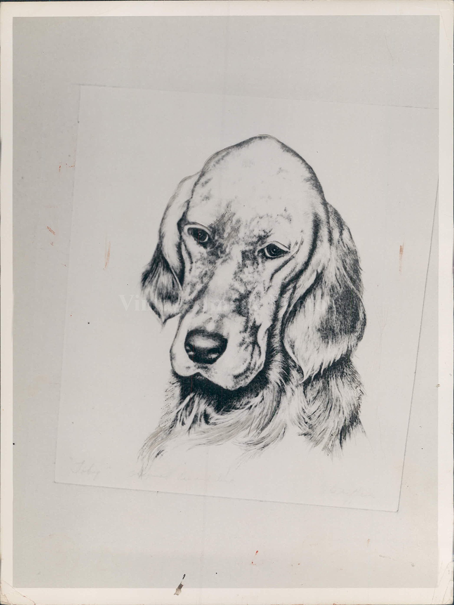 Cute English Drawings Cute English Word Design Vector 4 Vectors Images