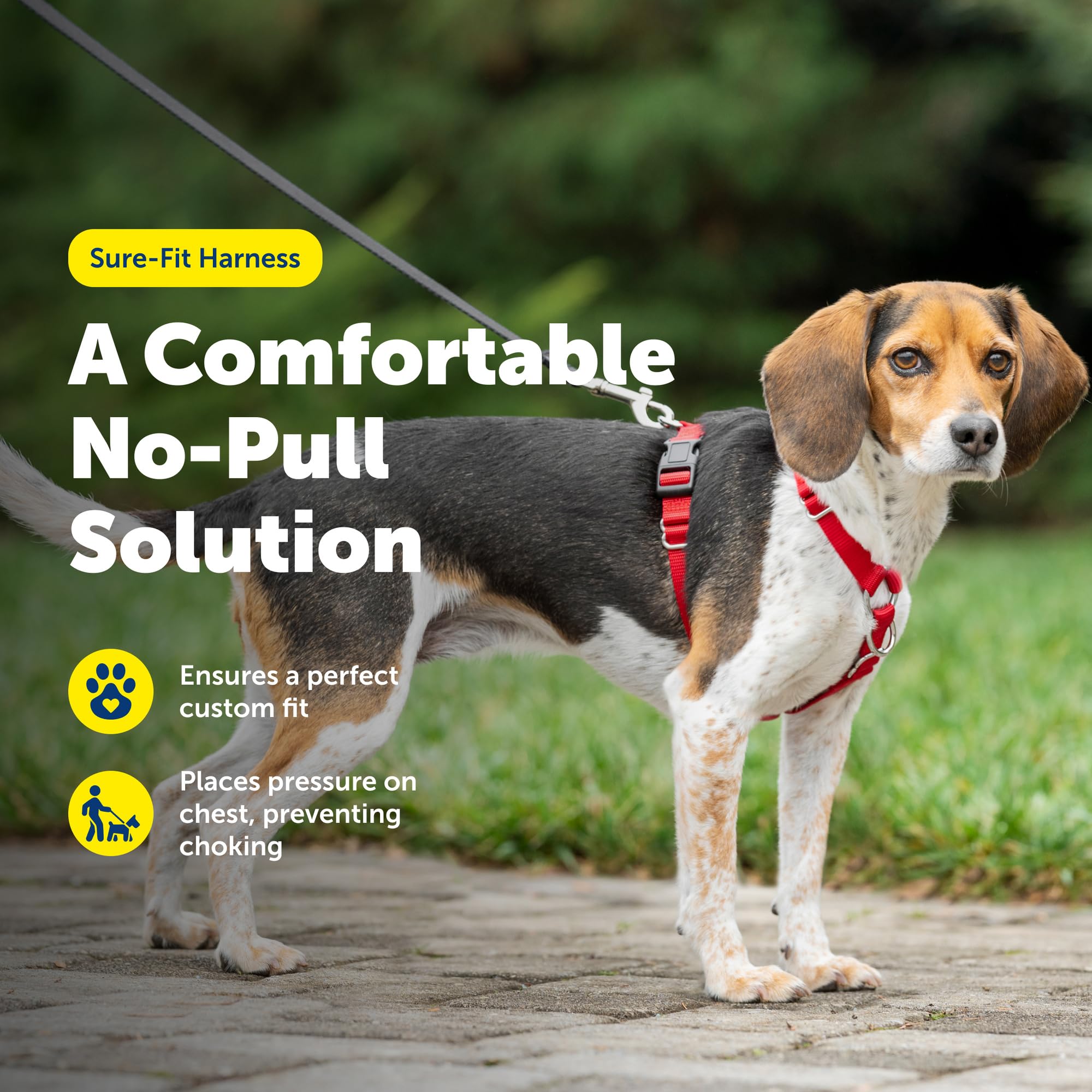 Snapklik.com : Sure-Fit Harness - Maximum Adjustability - Soft Padded ...