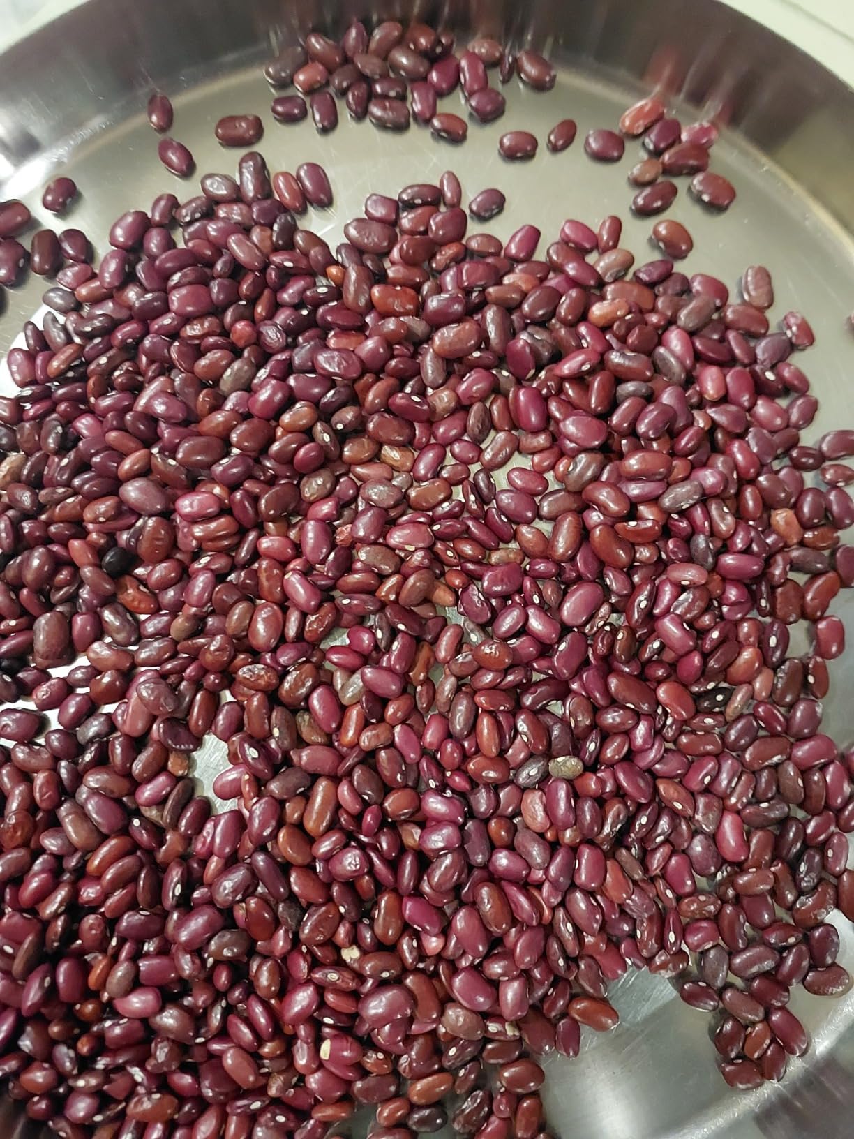 Alif Premium Bhaderwah, Jammu Rajma Rare, Natural and Traditional 500g ...