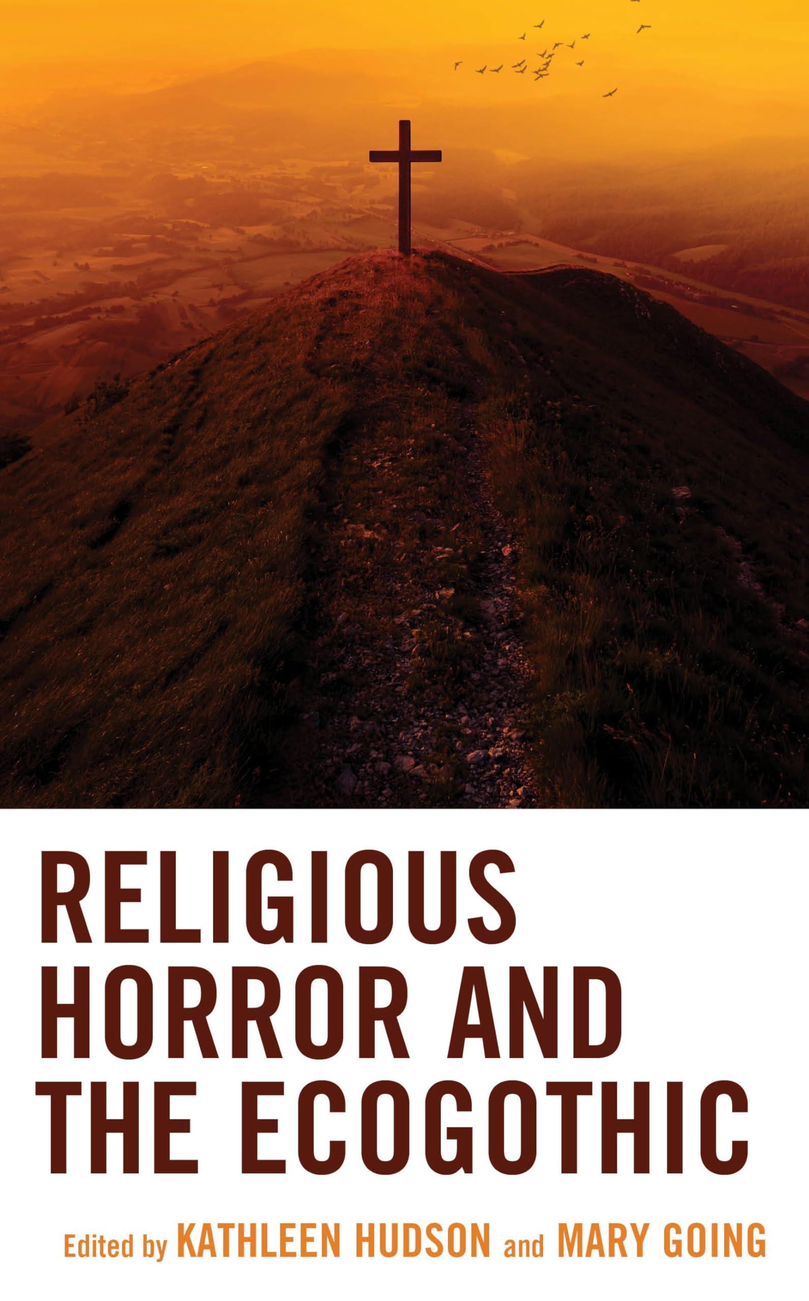 Buy Religious Horror and the Ecogothic (Ecocritical Theory and Practice ...
