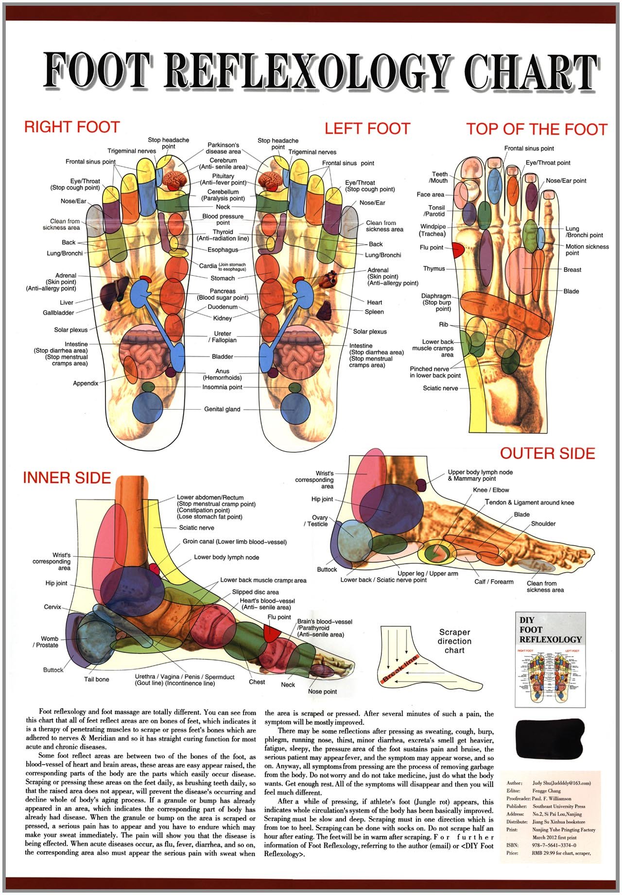Foot Reflexology Chart Laminated | Desertcart Sri Lanka