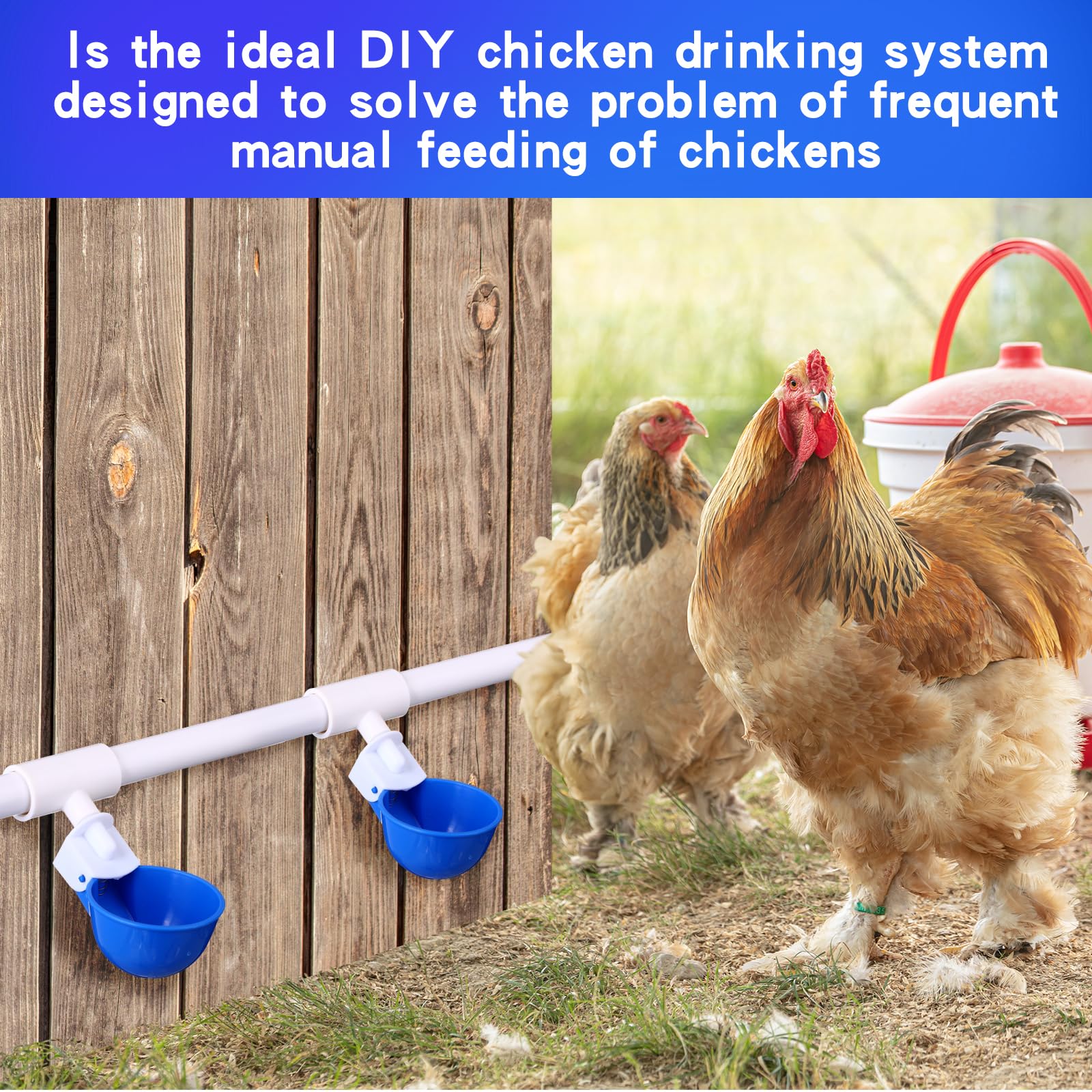 Tiangrid 49 Pcs Automatic Chicken Waterer System Includes Chicken Water ...