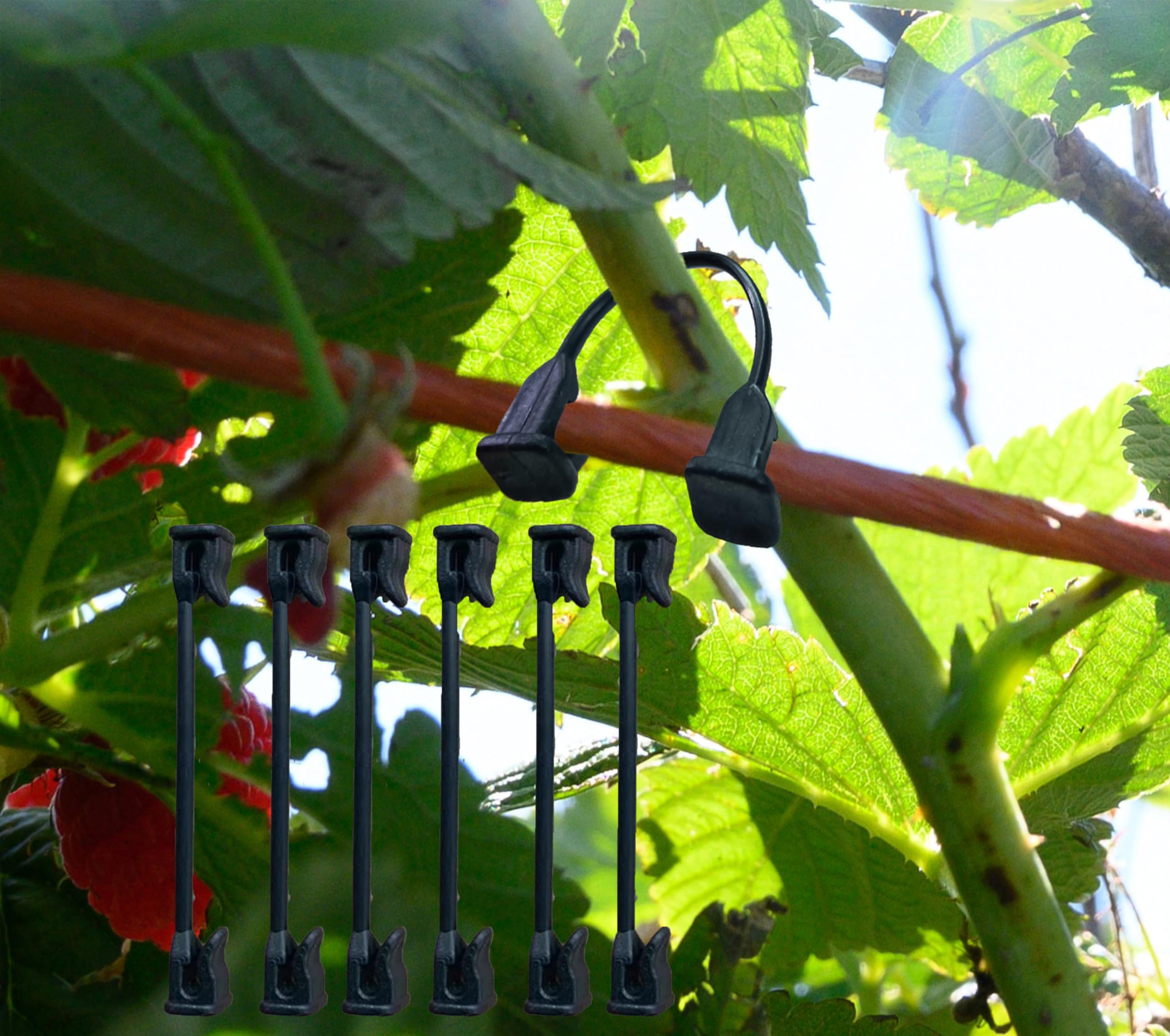 Amazon.com : Plastic Vines ClipTomato, Grape, Raspberry, Kiwi Vine Clip ...