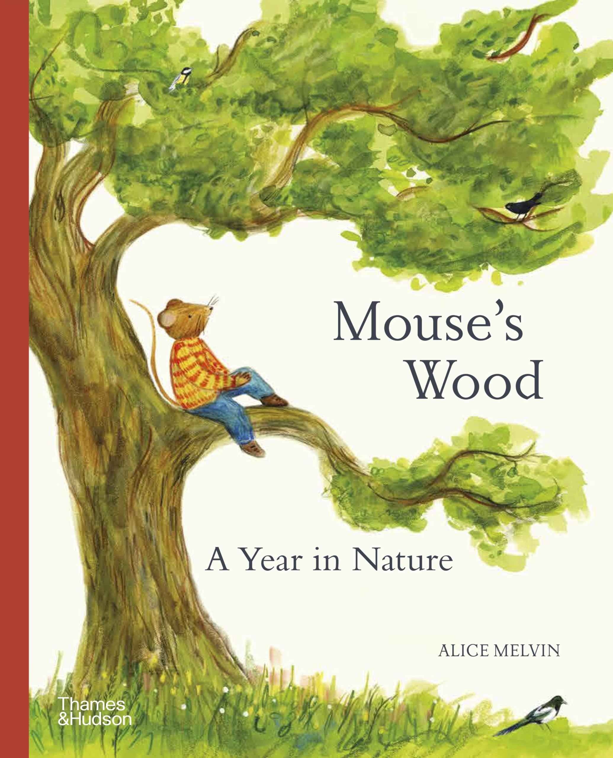 Mouse's Wood: A Year in Nature (Mouse’s Adventures): Melvin, Alice ...