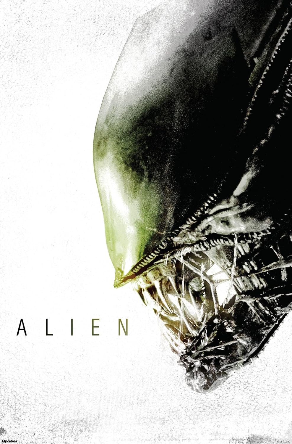Amazon.com: Alien - Profile Wall Poster, 34L" x 22.4W", Unframed ...