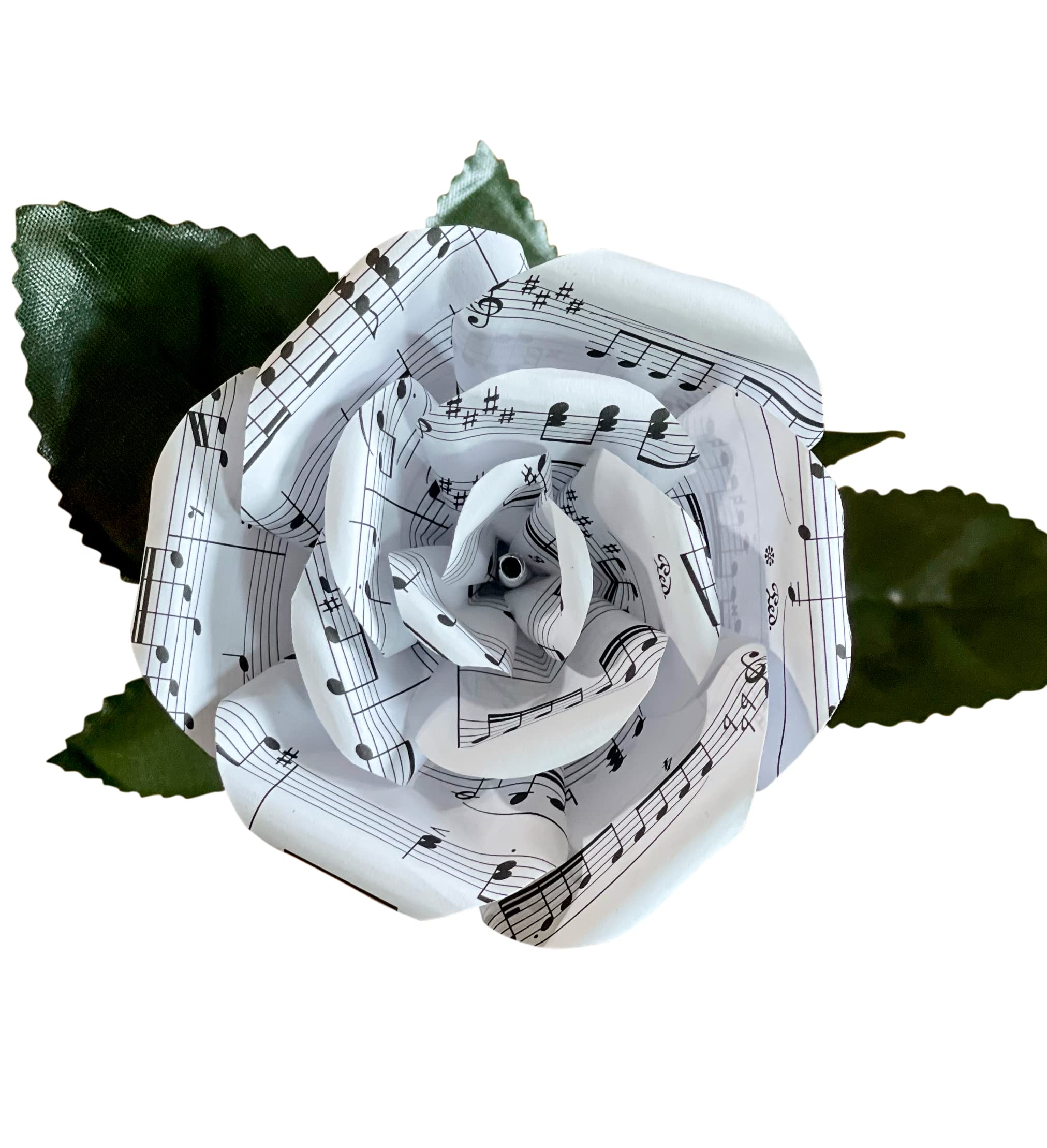 Sheet Flower