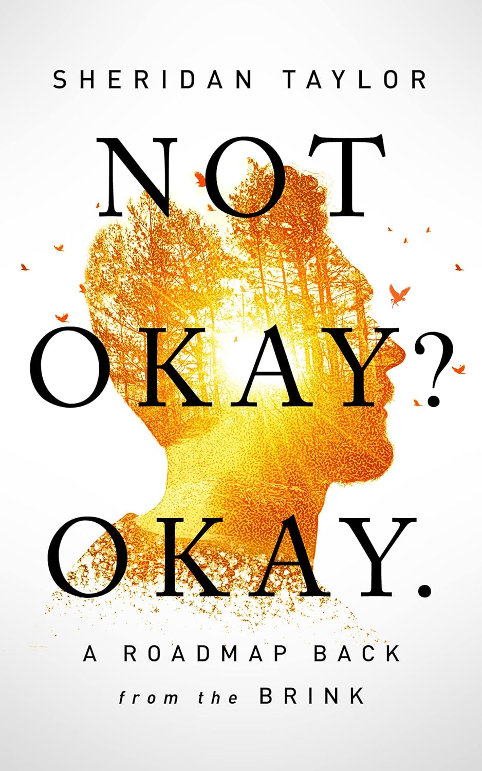 Not Okay? Okay.: A Roadmap Back from the Brink - Kindle edition by ...